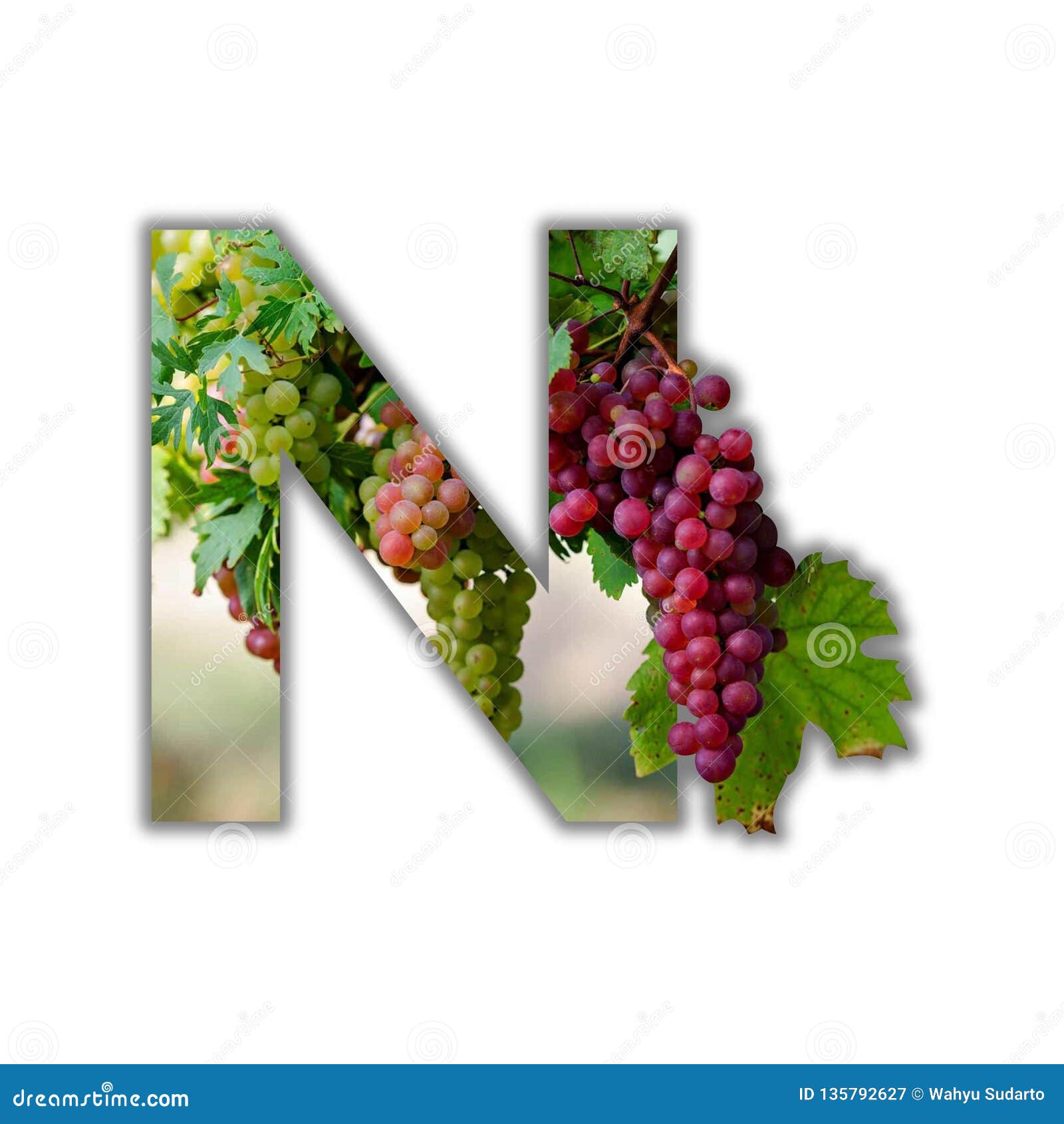 La Letra N Hizo De Uvas Reales Imagen de archivo - Imagen de concepto ...