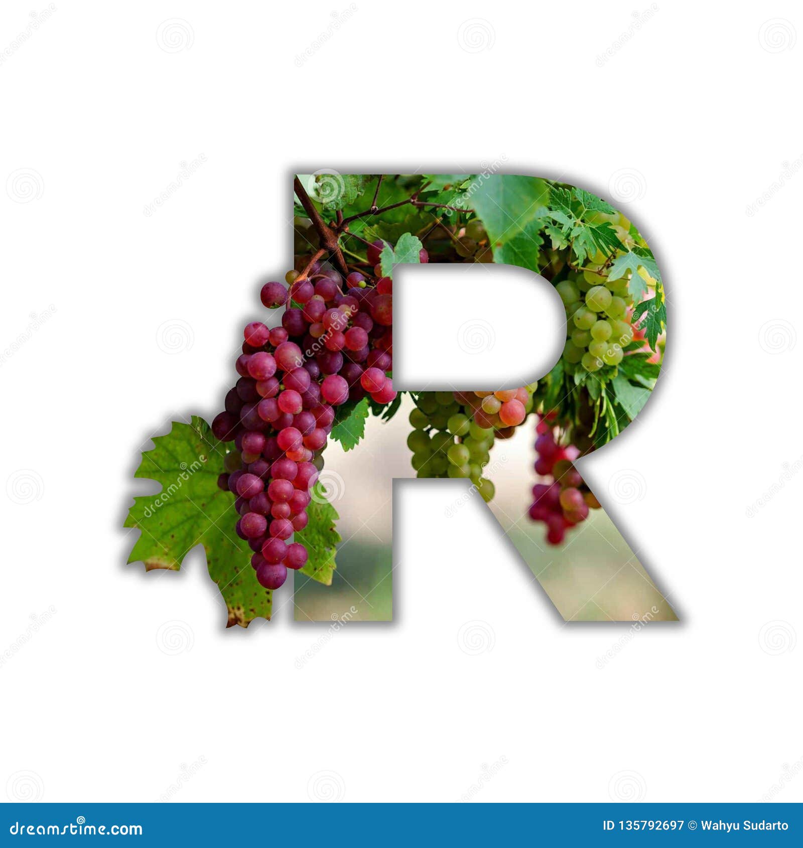 La Letra R Hizo De Uvas Reales Imagen de archivo - Imagen de uvas ...