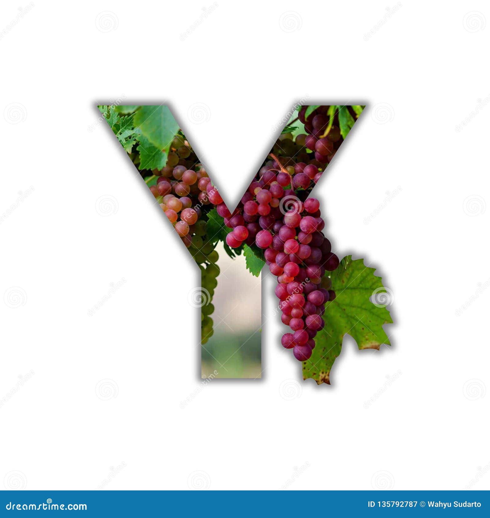 La Letra Y Hizo De Uvas Reales Imagen de archivo - Imagen de uvas, sano ...