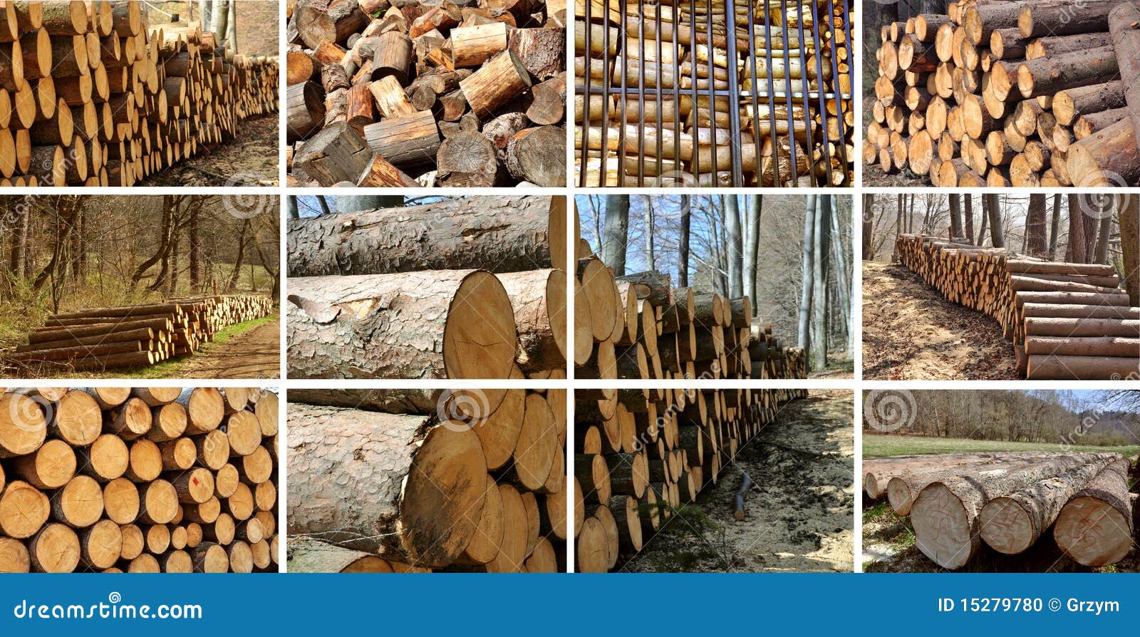 La Madera Llena El Collage. Foto de archivo - Imagen: 15279780