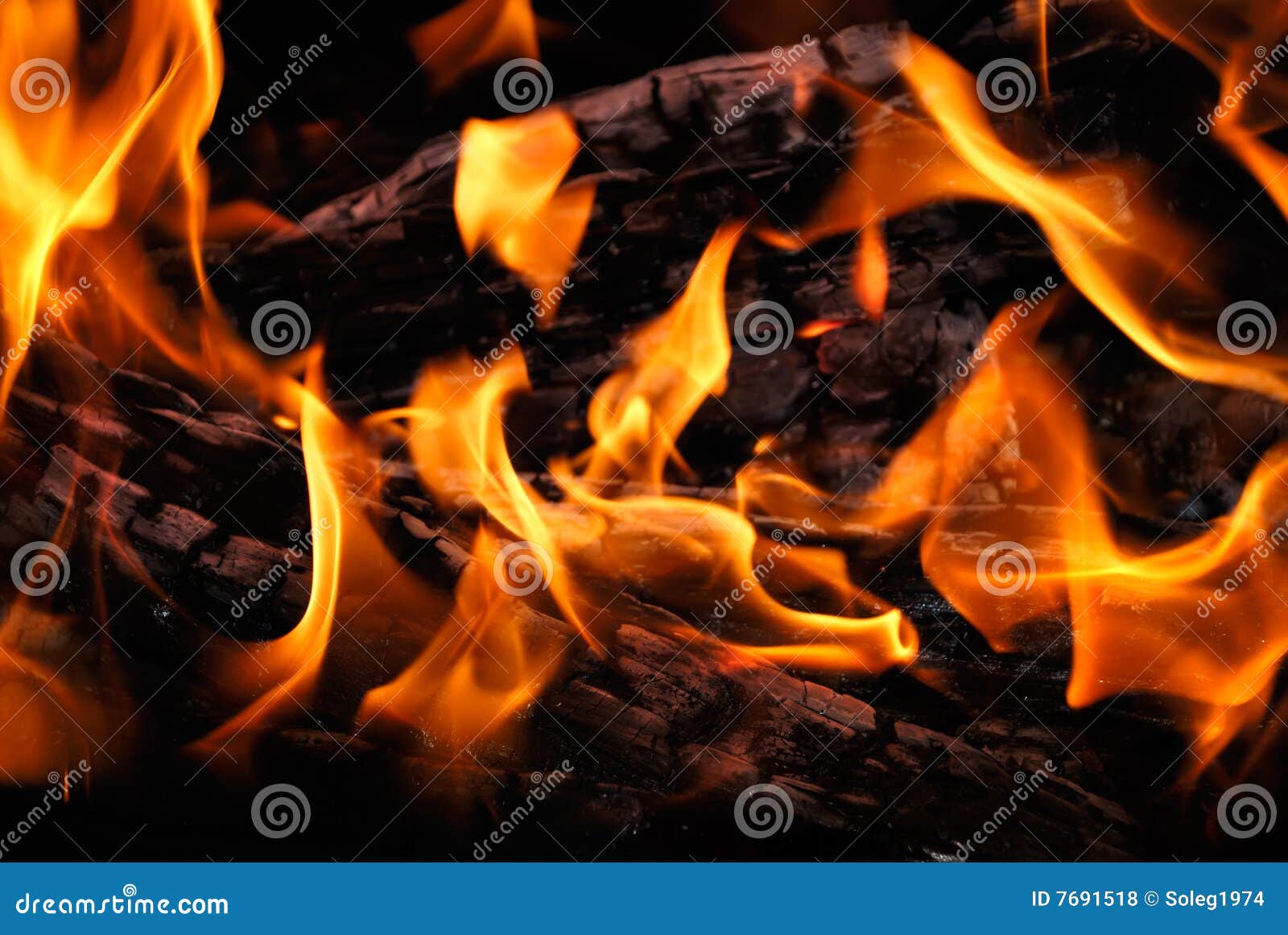 La Madera Quema En El Fuego Foto de archivo - Imagen de barbacoa, llama ...