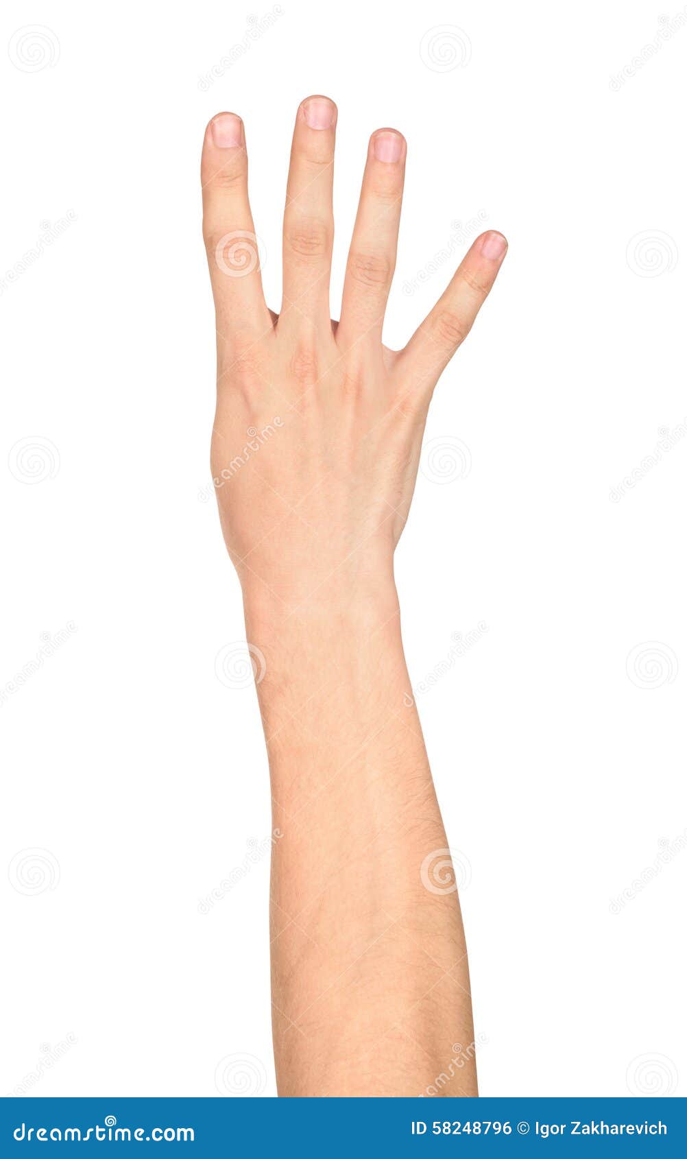 La Main Montre Quatre Doigts Photo stock - Image of mouvement ...