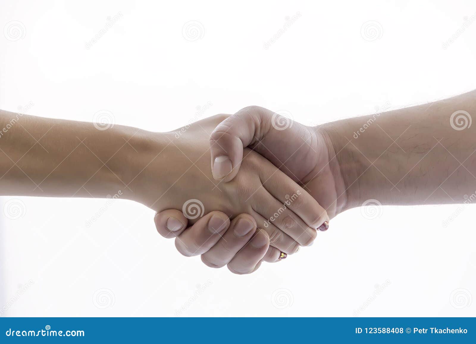 La Main Serre La Main Dans La Salutation Photo stock - Image du contact ...