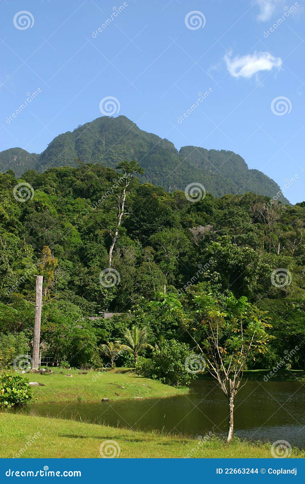 La Malesia, Borneo, Sabah, Kinabalu Fotografia Stock - Immagine di ...