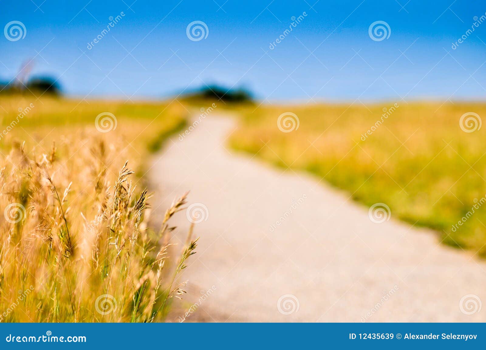 La manera imagen de archivo. Imagen de verde, prado, horizonte - 12435639