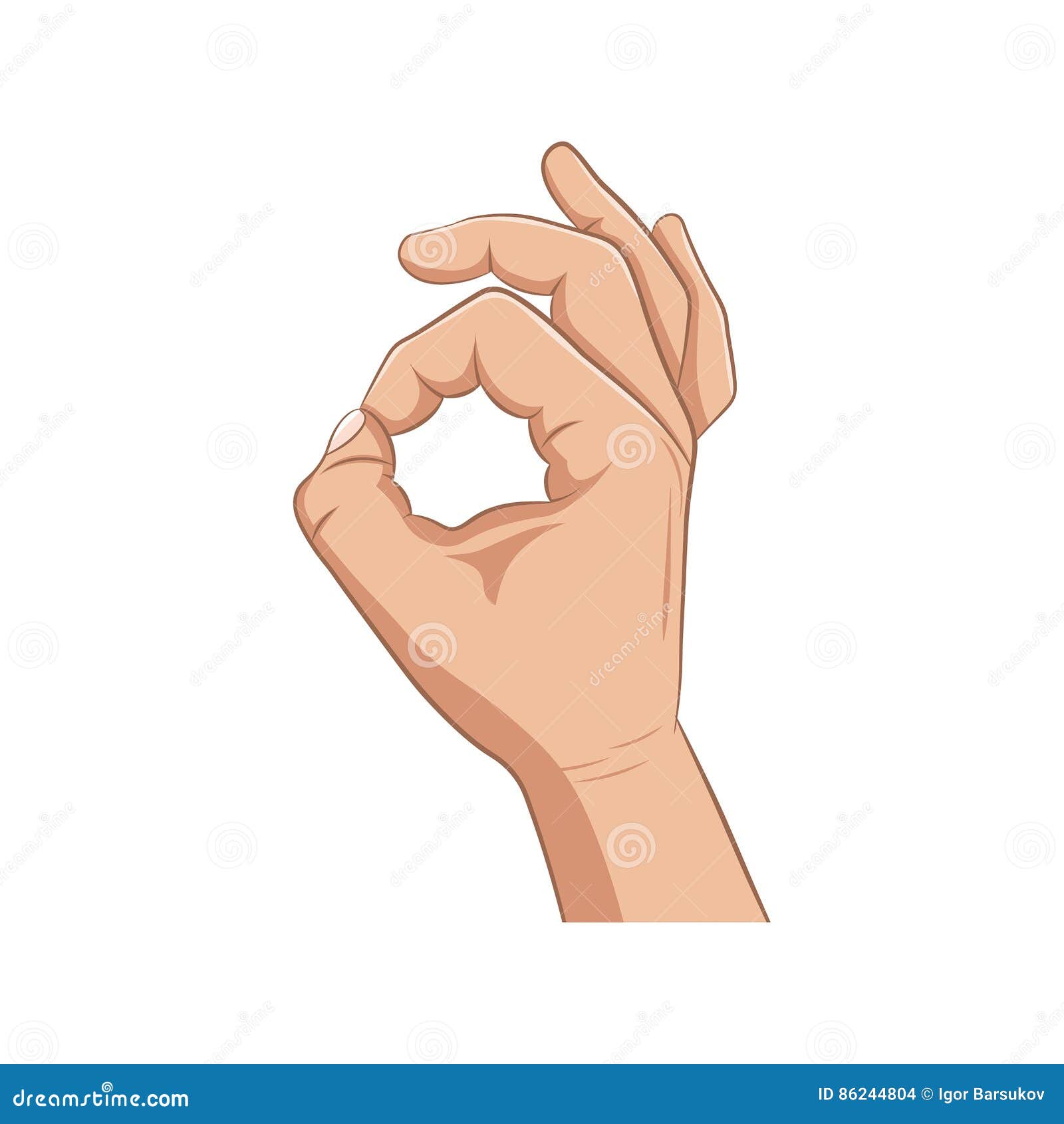 La mano realista ilustración del vector. Ilustración de perfecto - 86244804