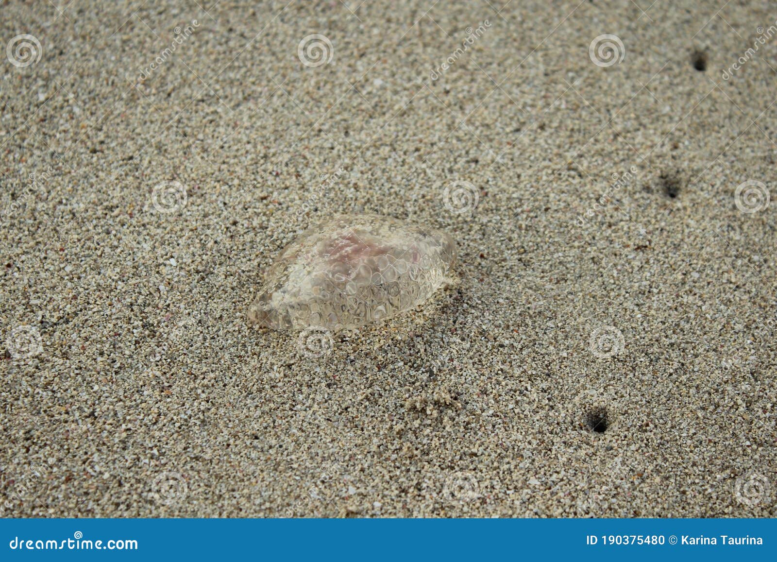 La Mer Claire De Plage De Sable Incroyable Photo stock - Image du ...