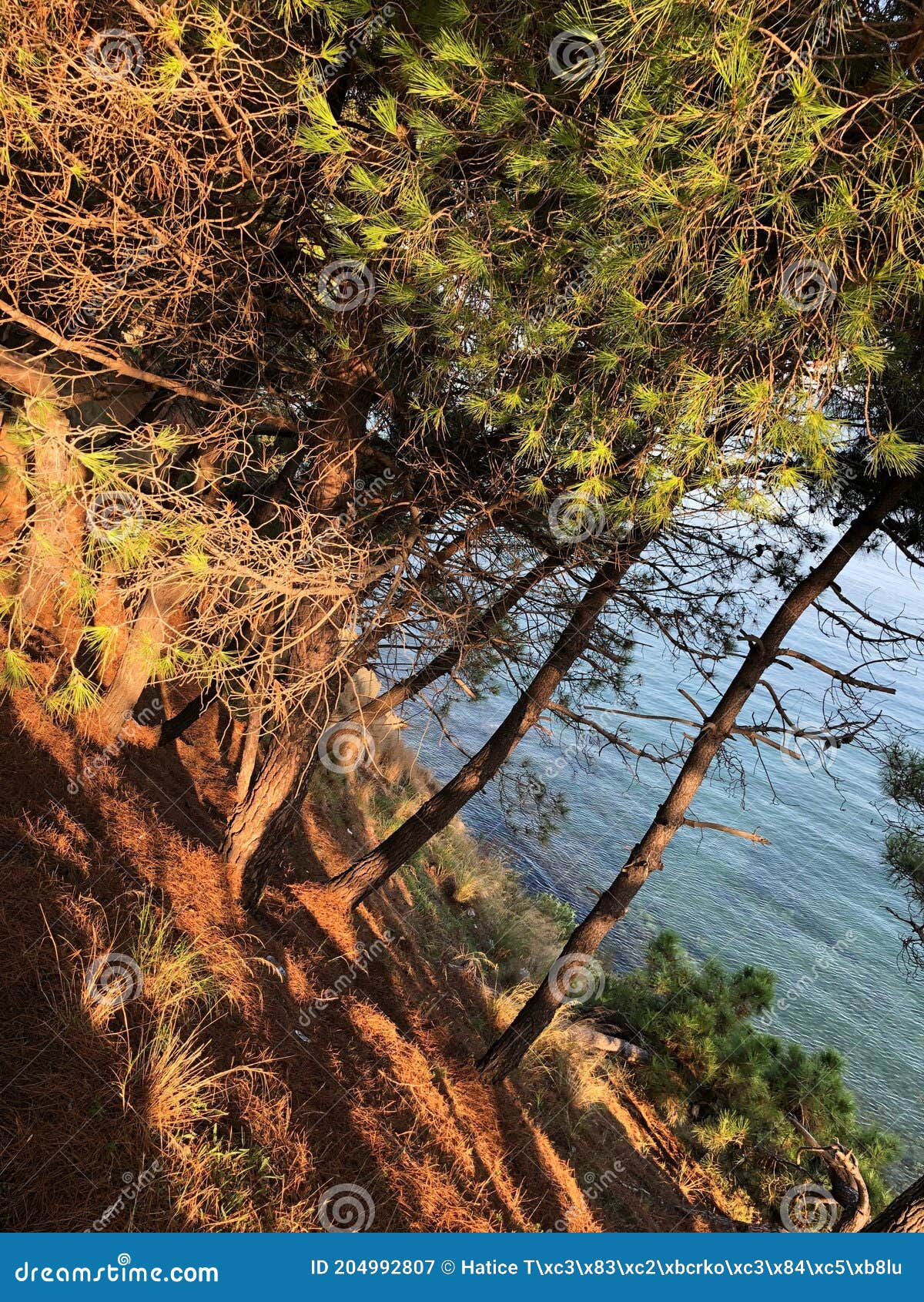 La Mer Claire Et Le Rivage Cliffshaped En Pente Image stock - Image du ...