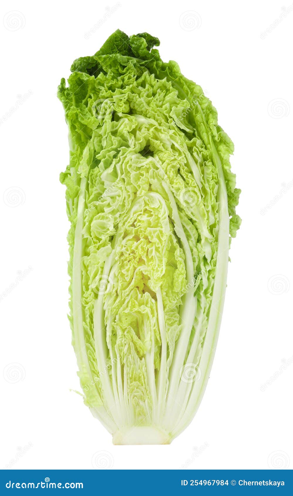 La Mitad De La Col China Aislada Foto de archivo - Imagen de cocinero ...