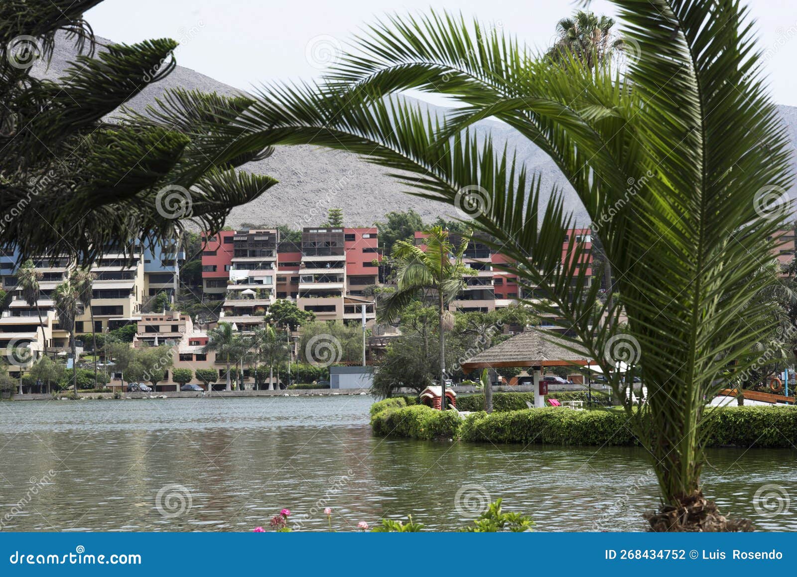 La Molina District of Lima Peru Stock Photo - Image of river, tropics ...