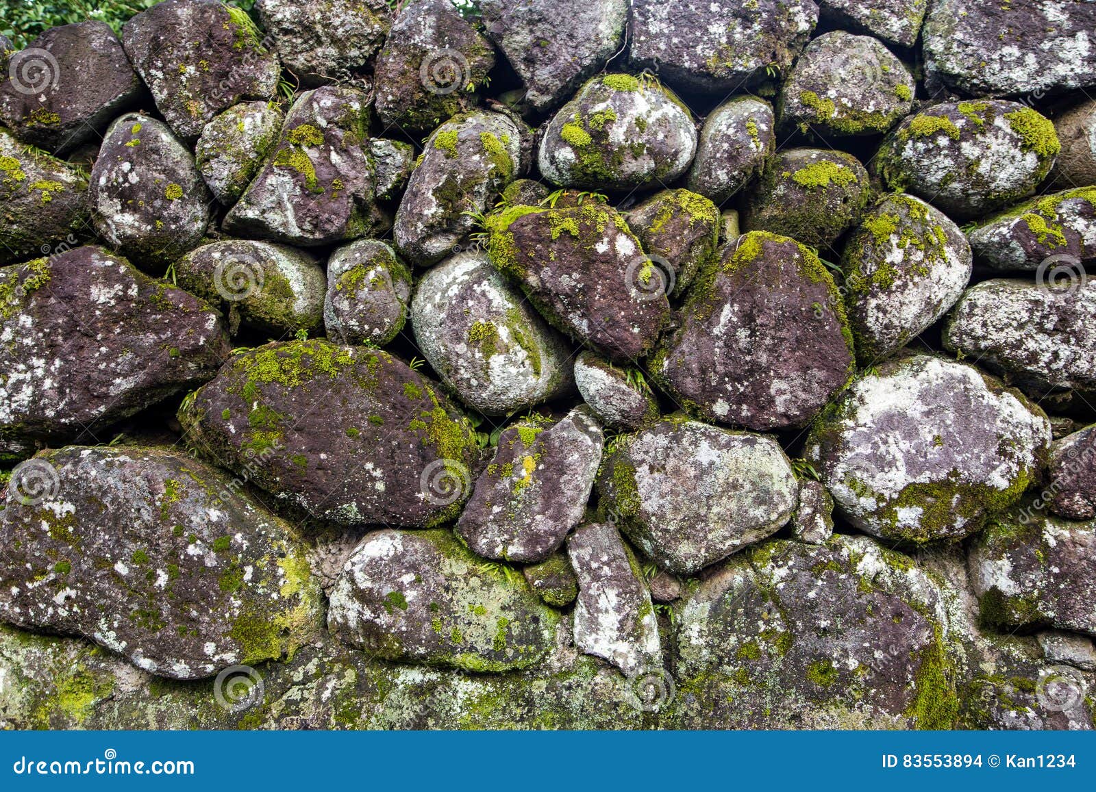 La Mousse a Couvert La Texture De Mur De Roche Photo stock - Image du ...