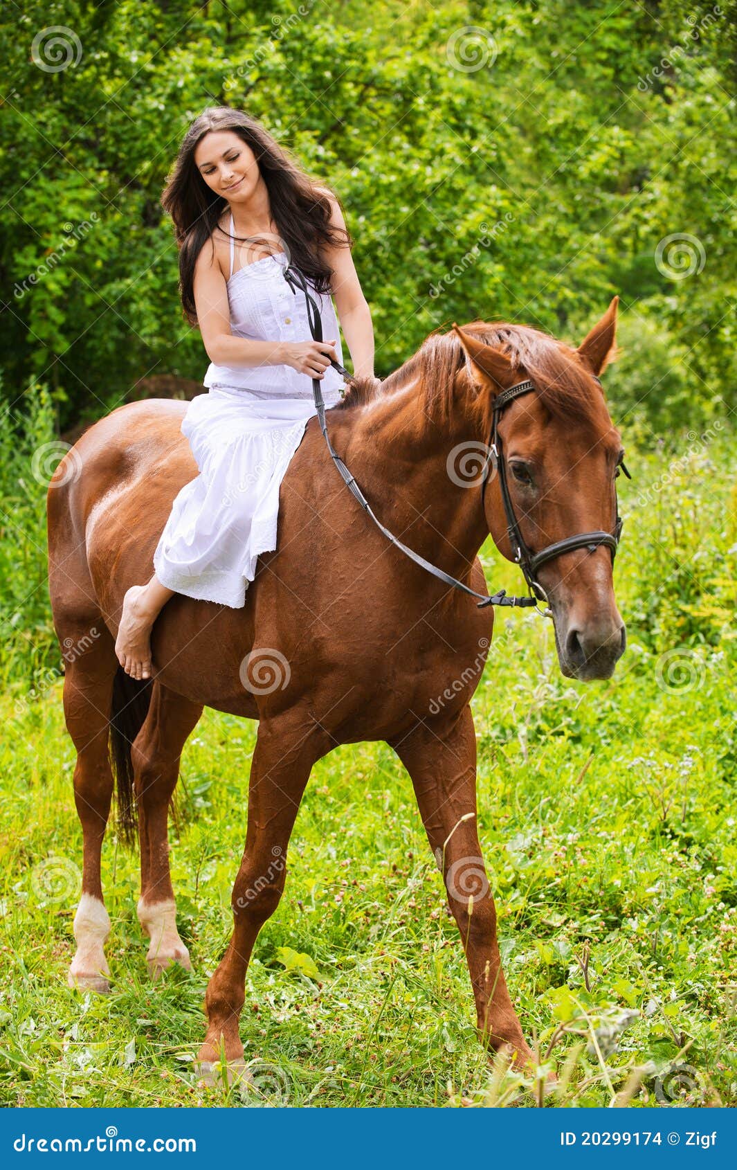 La Mujer Hermosa Joven Monta Un Caballo Foto de archivo - Imagen de ... La Mujer Hermosa Joven Monta Un Caballo Foto de archivo - Imagen de ...