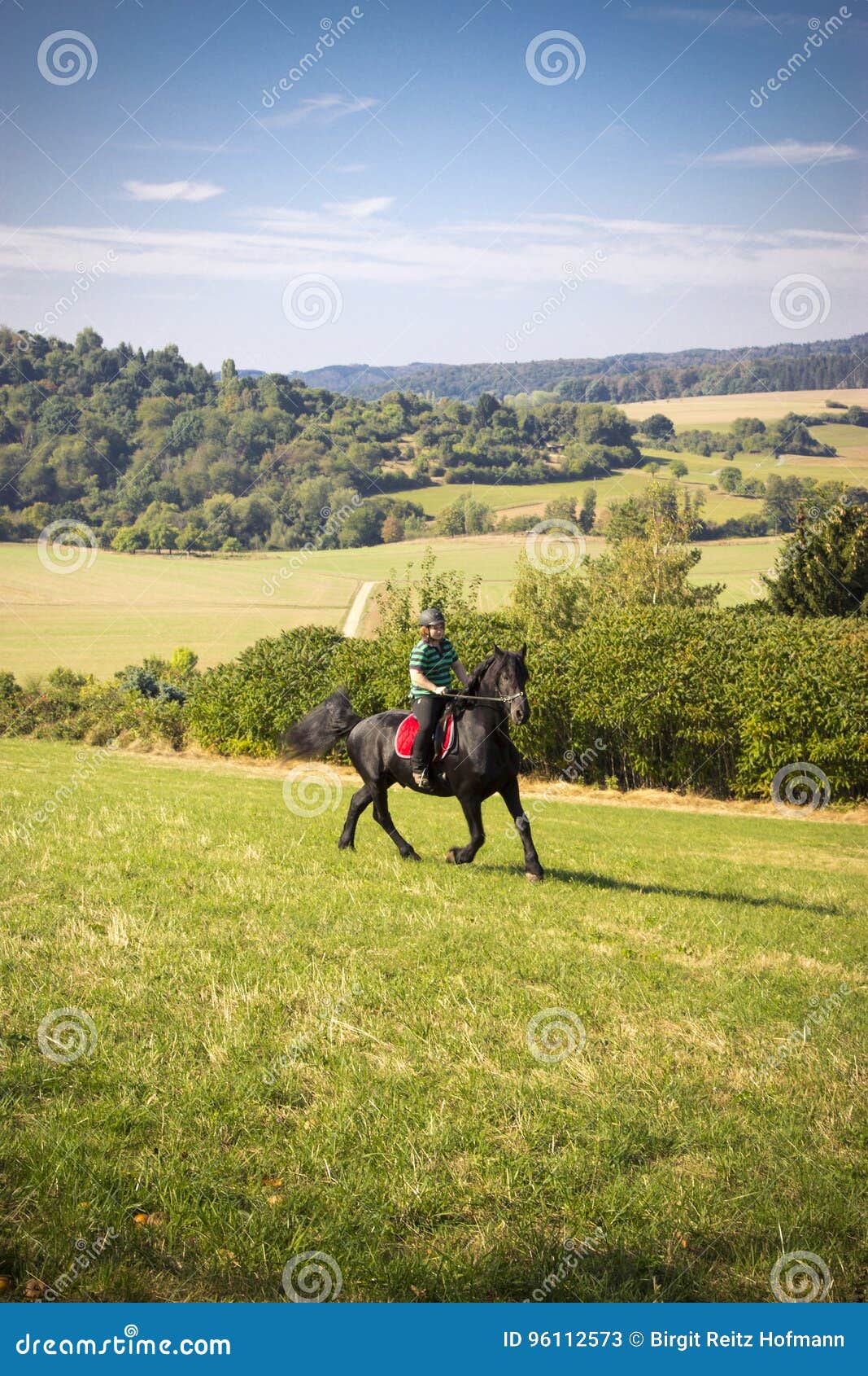 La Mujer Joven Hermosa Monta Su Caballo Negro Imagen de archivo ... La Mujer Joven Hermosa Monta Su Caballo Negro Imagen de archivo ...