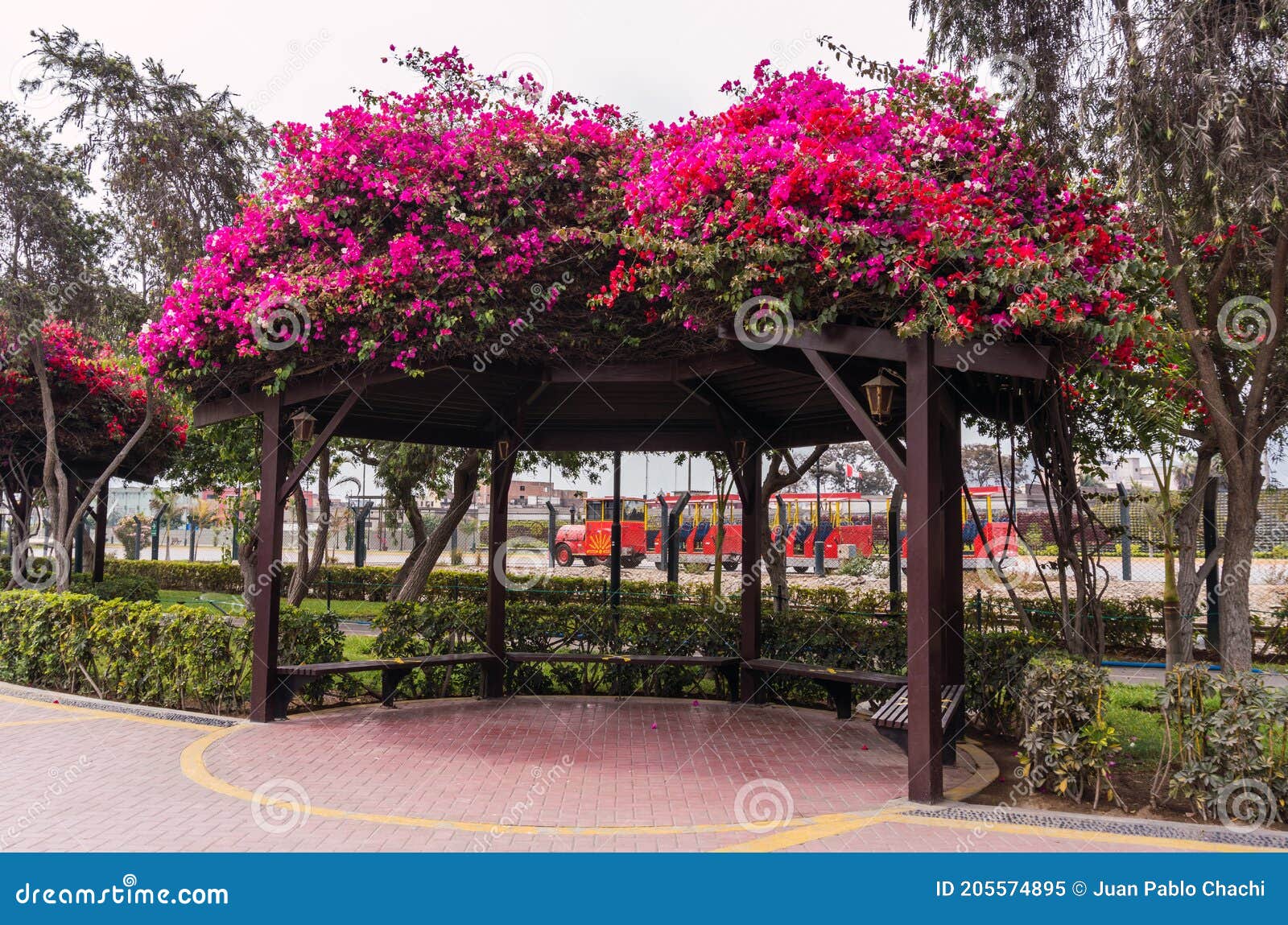 LA MURALLA PARK in LIMA PERU Stock Image - Image of season, place ...