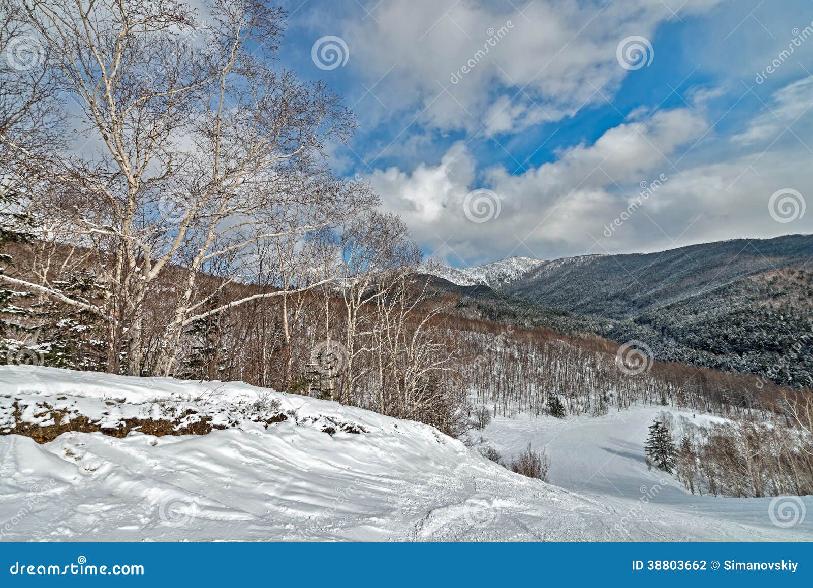 La Nature De L'île De Sakhaline, Russie. Photo stock - Image du ...