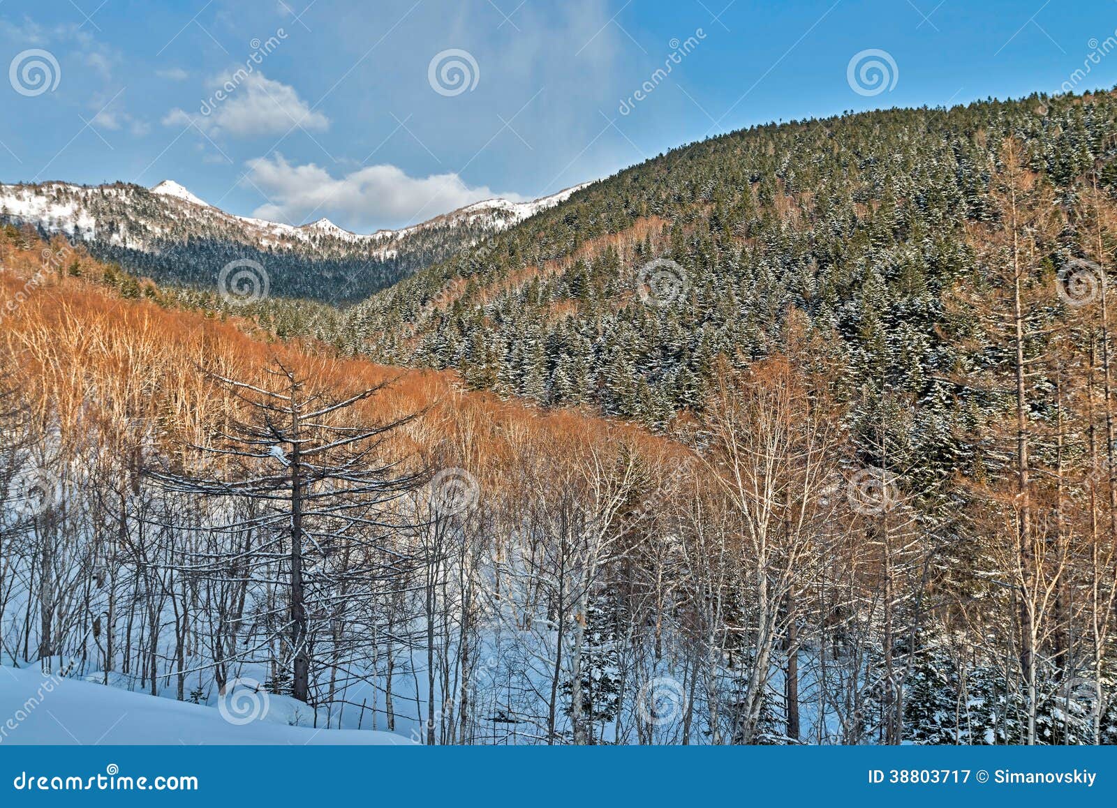 La Nature De L'île De Sakhaline, Russie. Image stock - Image of ...