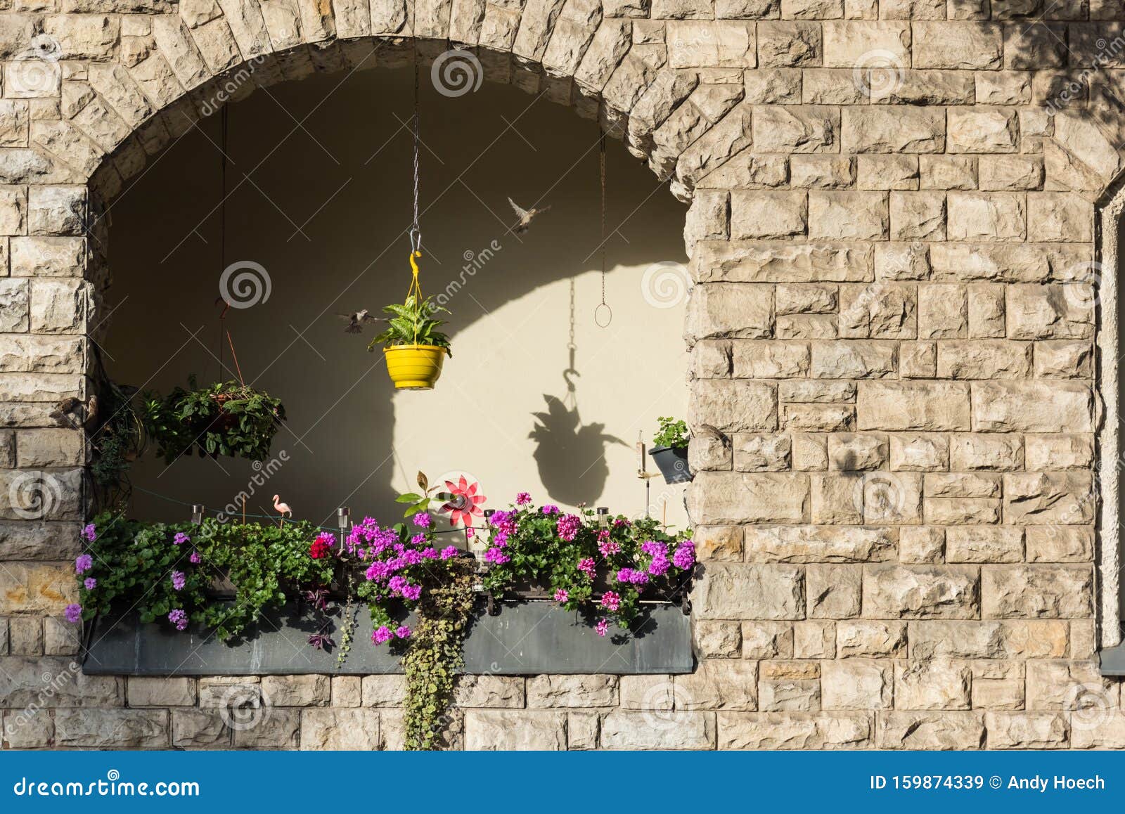 La Olla Amarilla Con Los Gorriones Al Sol Imagen de archivo - Imagen de ...