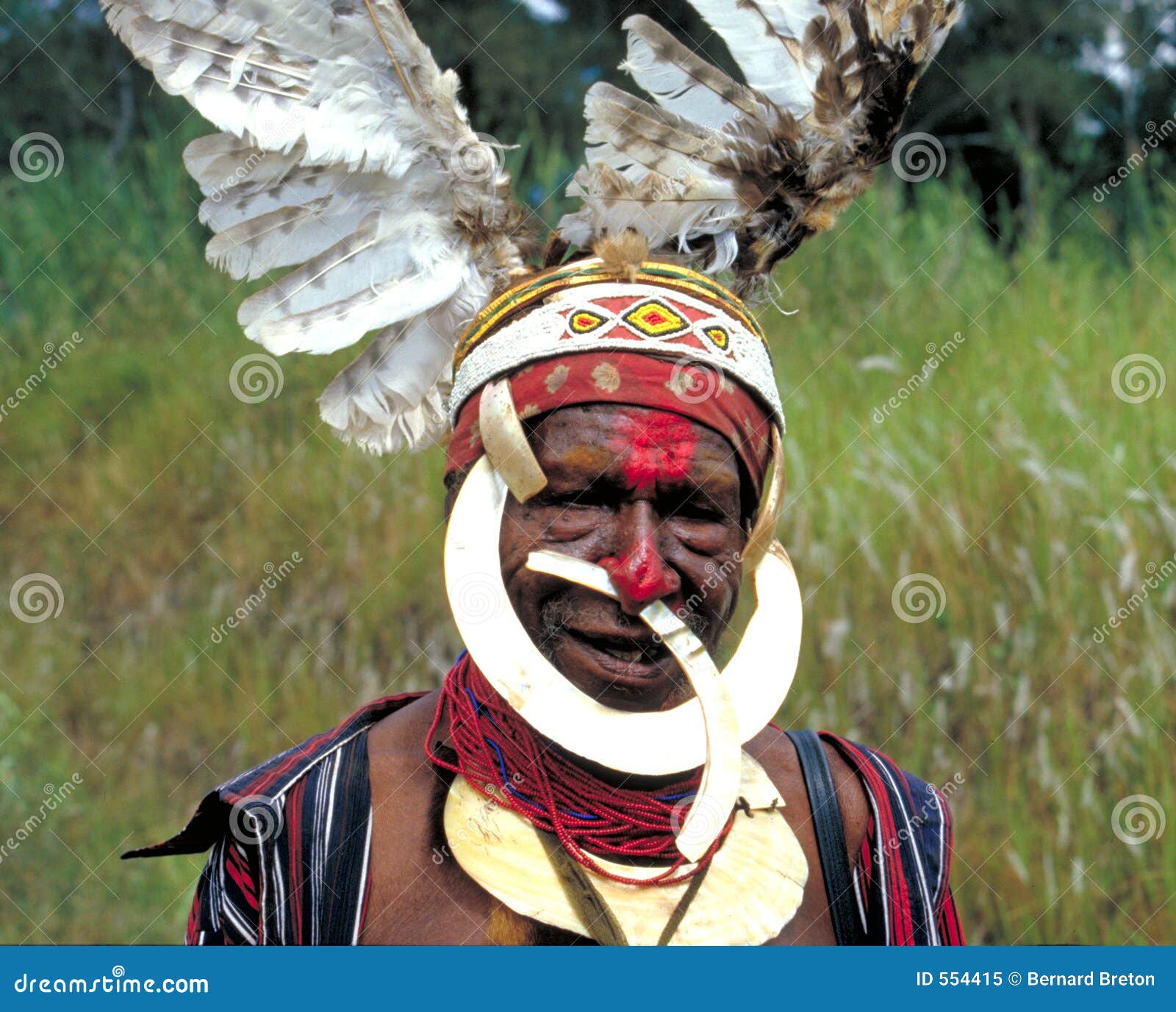 La Papuasia Nuova Guinea immagine stock. Immagine di arte - 554415