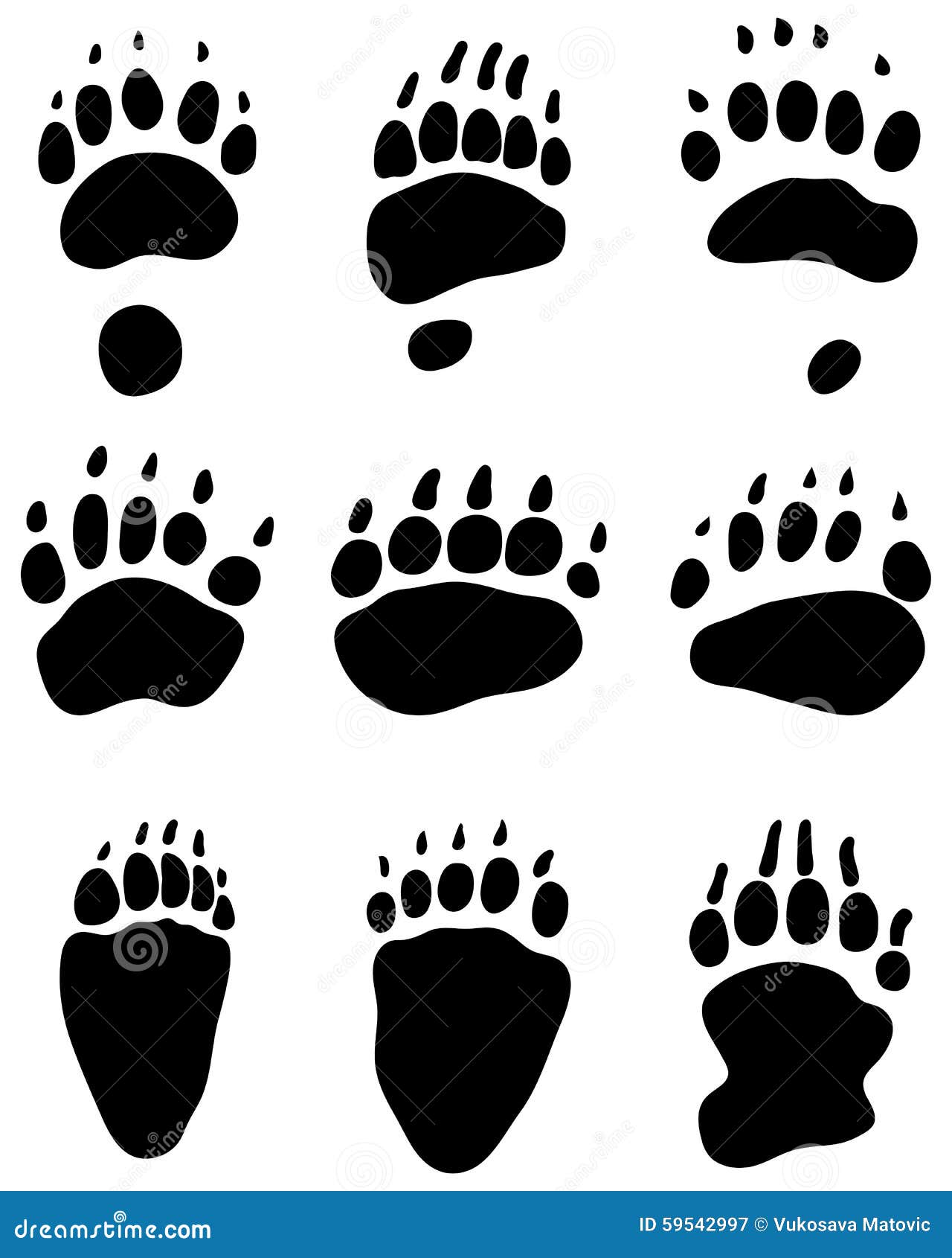 La pata de oso stock de ilustración. Ilustración de blanco - 59542997