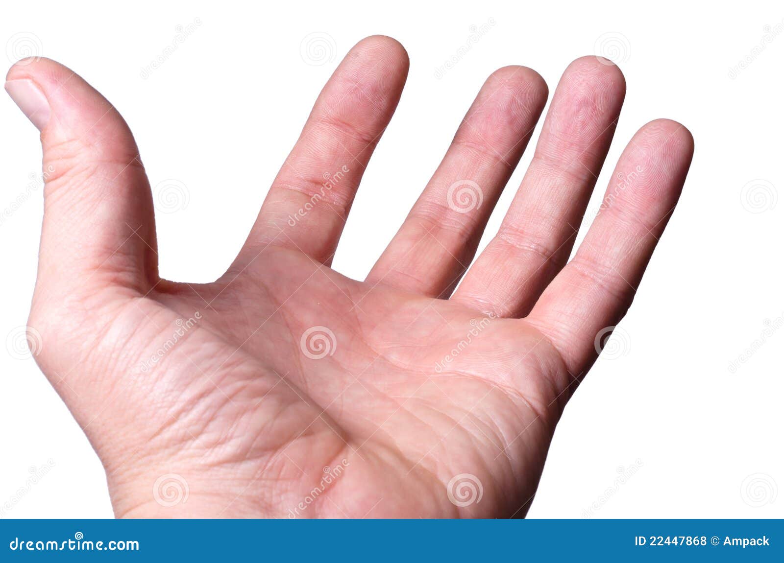 La Paume De Main Vers Le Haut Photo stock - Image du femelle, main ...