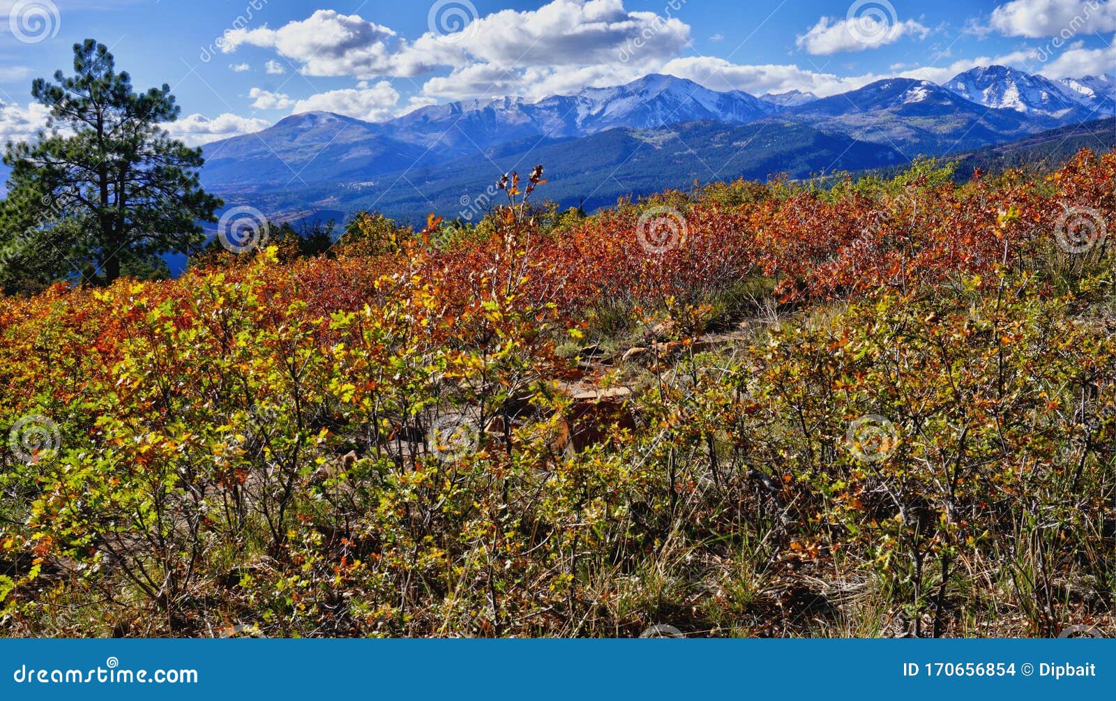 La Plata Mountains Northwest of Durango Stock Photo - Image of autumn ...