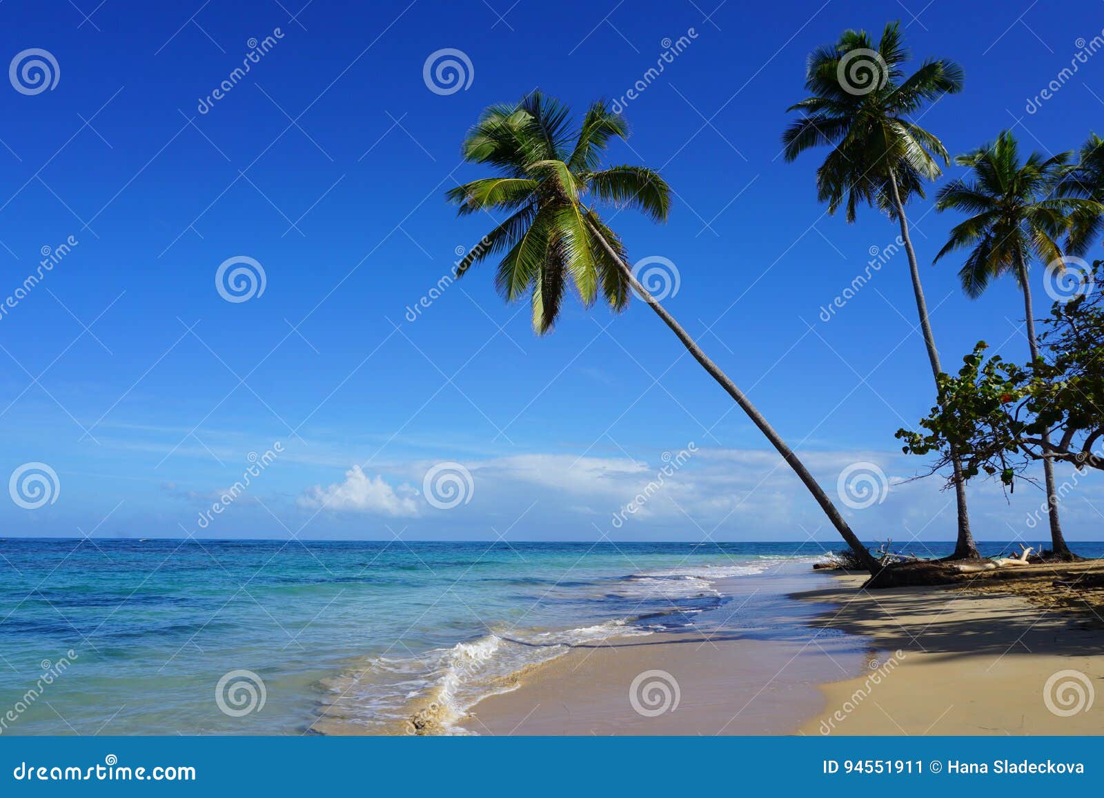 La Playa De Punta Popy, Las Terrenas Imagen de archivo - Imagen de ...