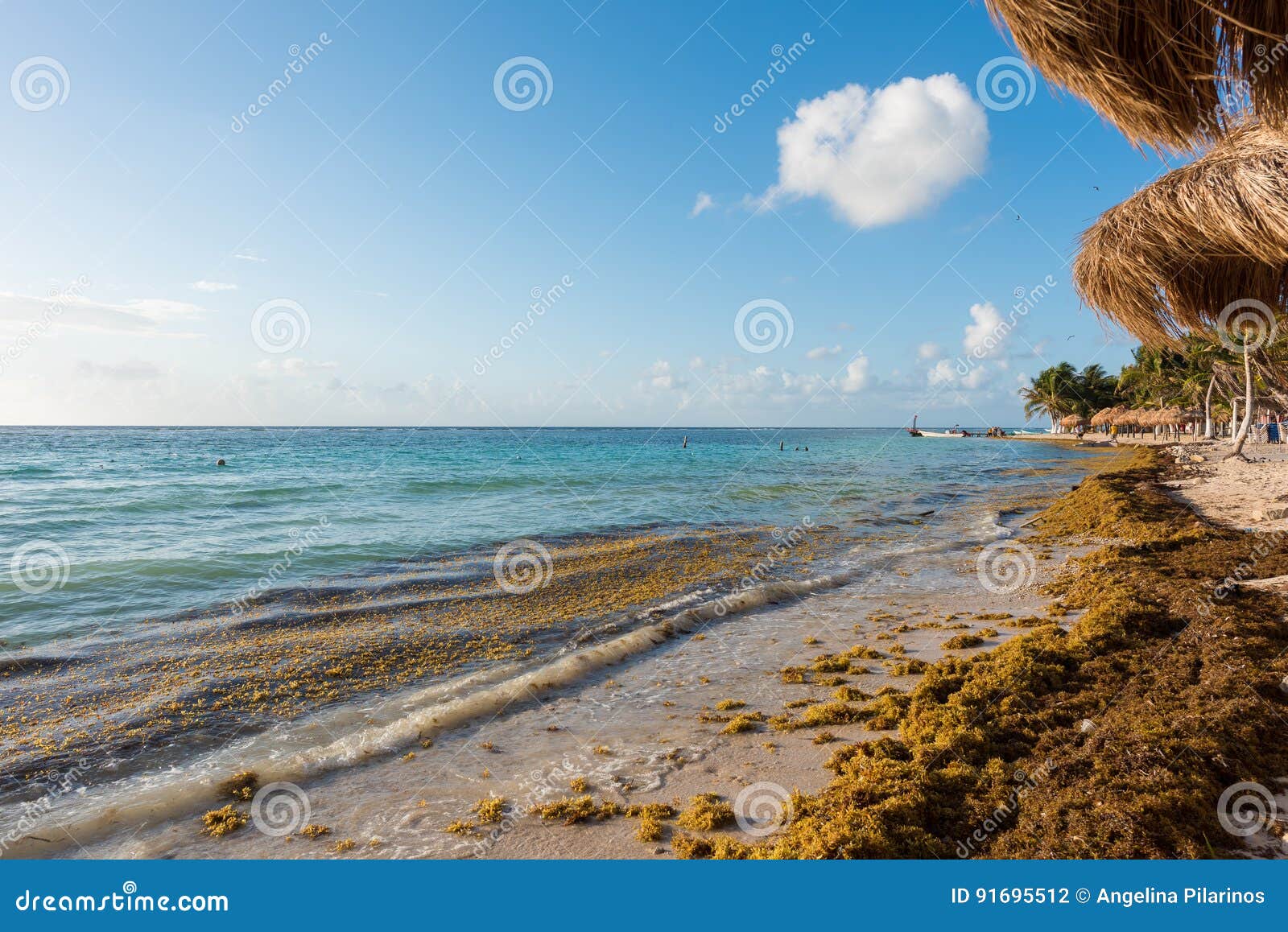 La Playa En Mahahual, México Foto de archivo - Imagen de océano, nadada ...
