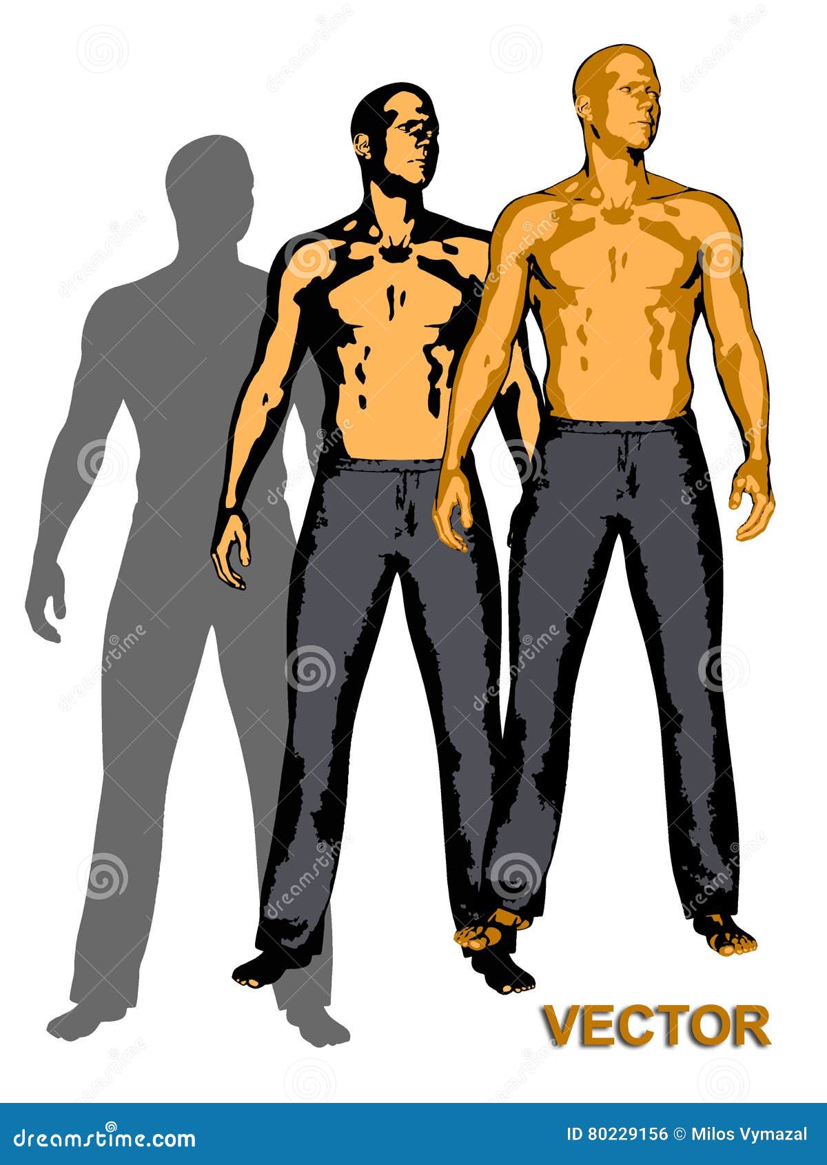 La position d'homme pose 1 illustration stock. Illustration du anatomie ...