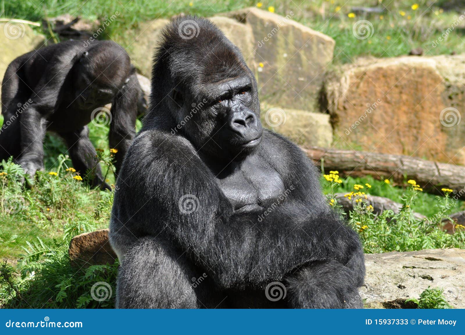 La PROTUBERANCIA imagen de archivo. Imagen de potencia - 15937333