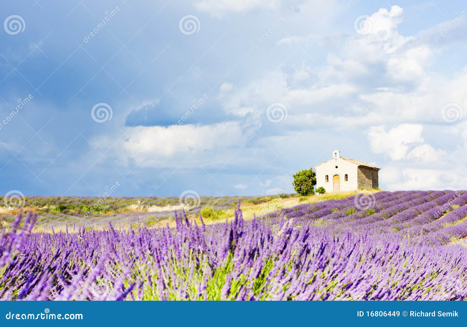 La Provenza, Francia immagine stock. Immagine di rurale - 16806449
