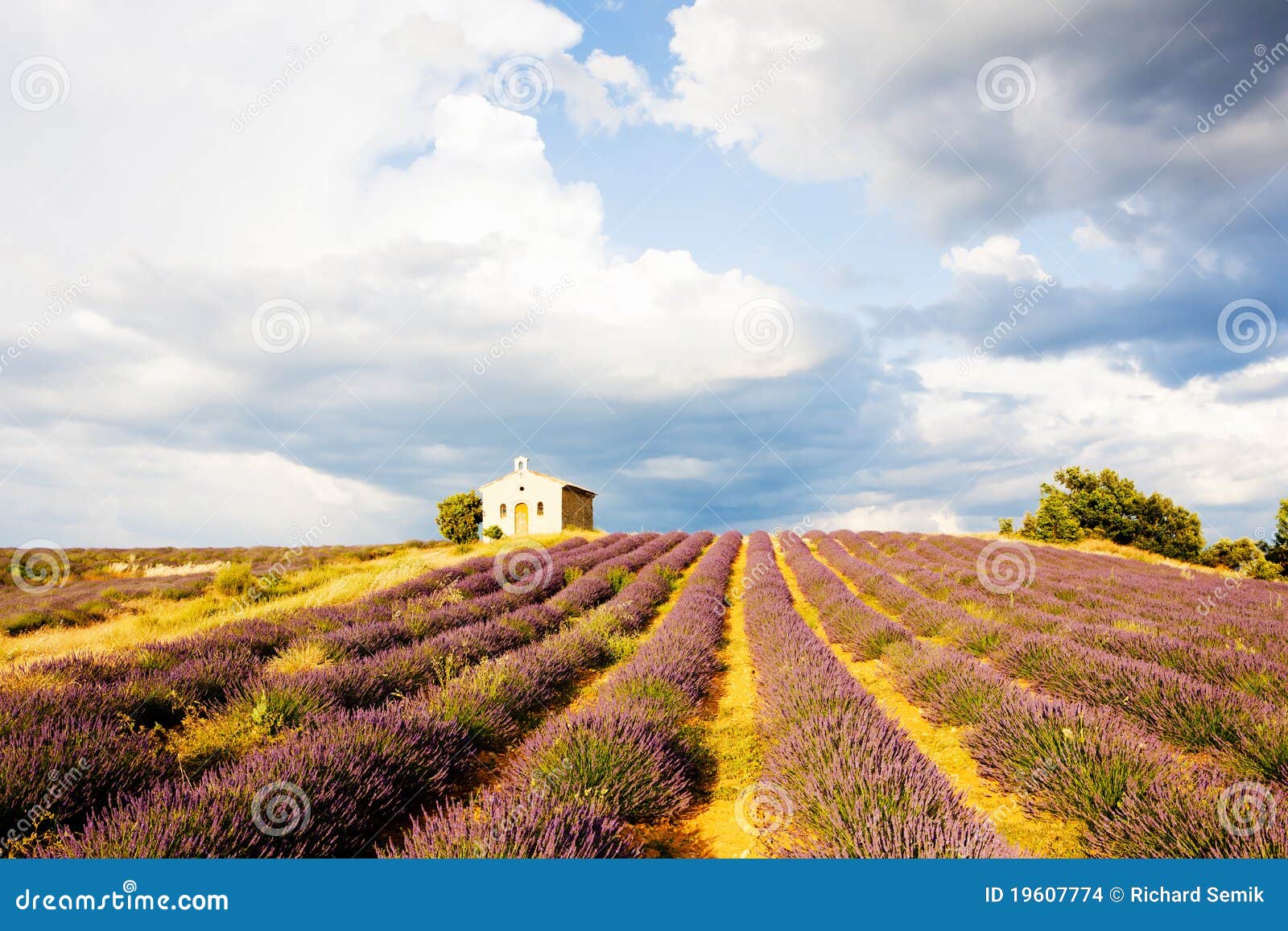 La Provenza, Francia fotografia stock. Immagine di posizioni - 19607774