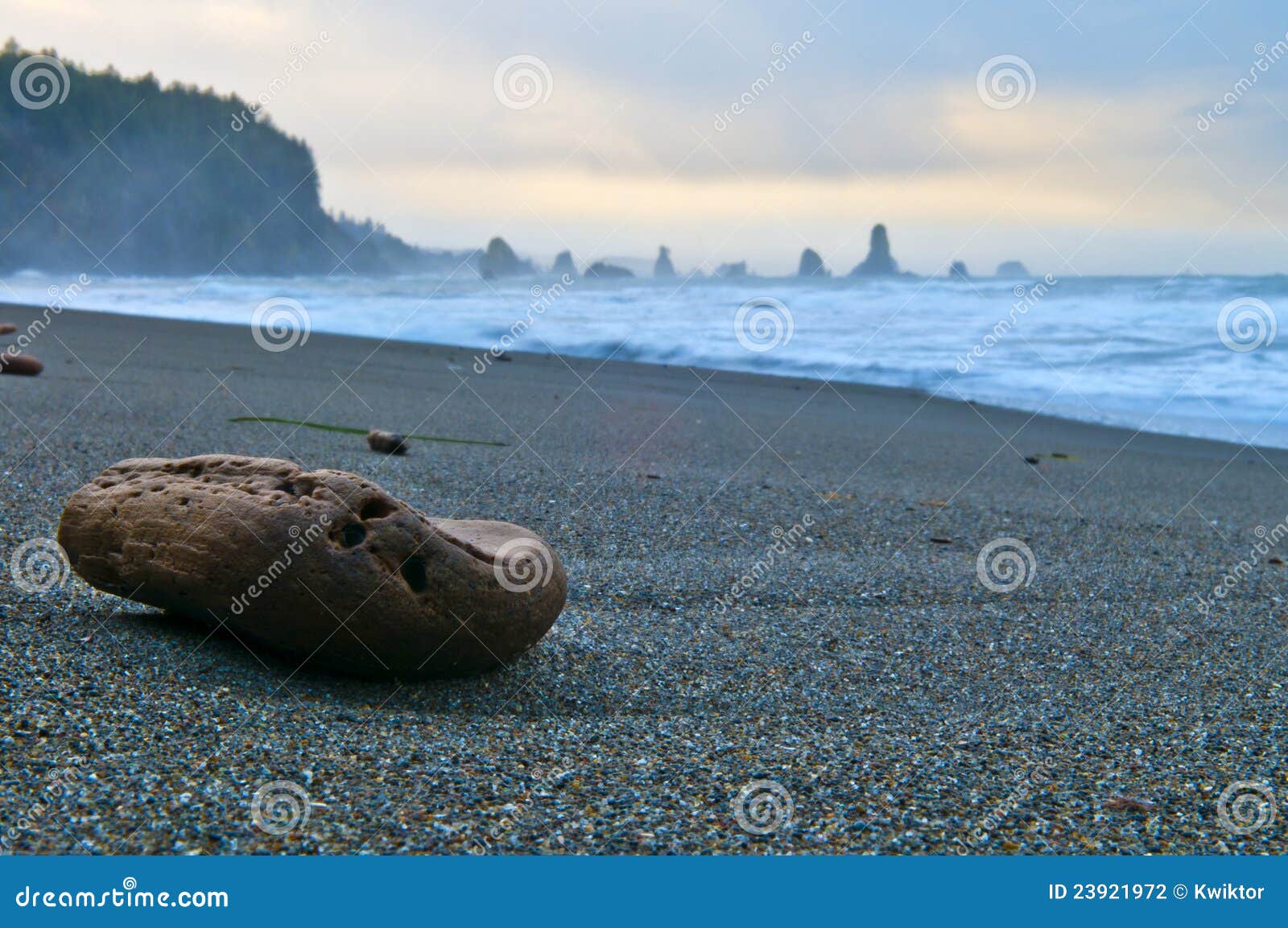 La Push Beach stock photo. Image of blue, horizon, stone - 23921972