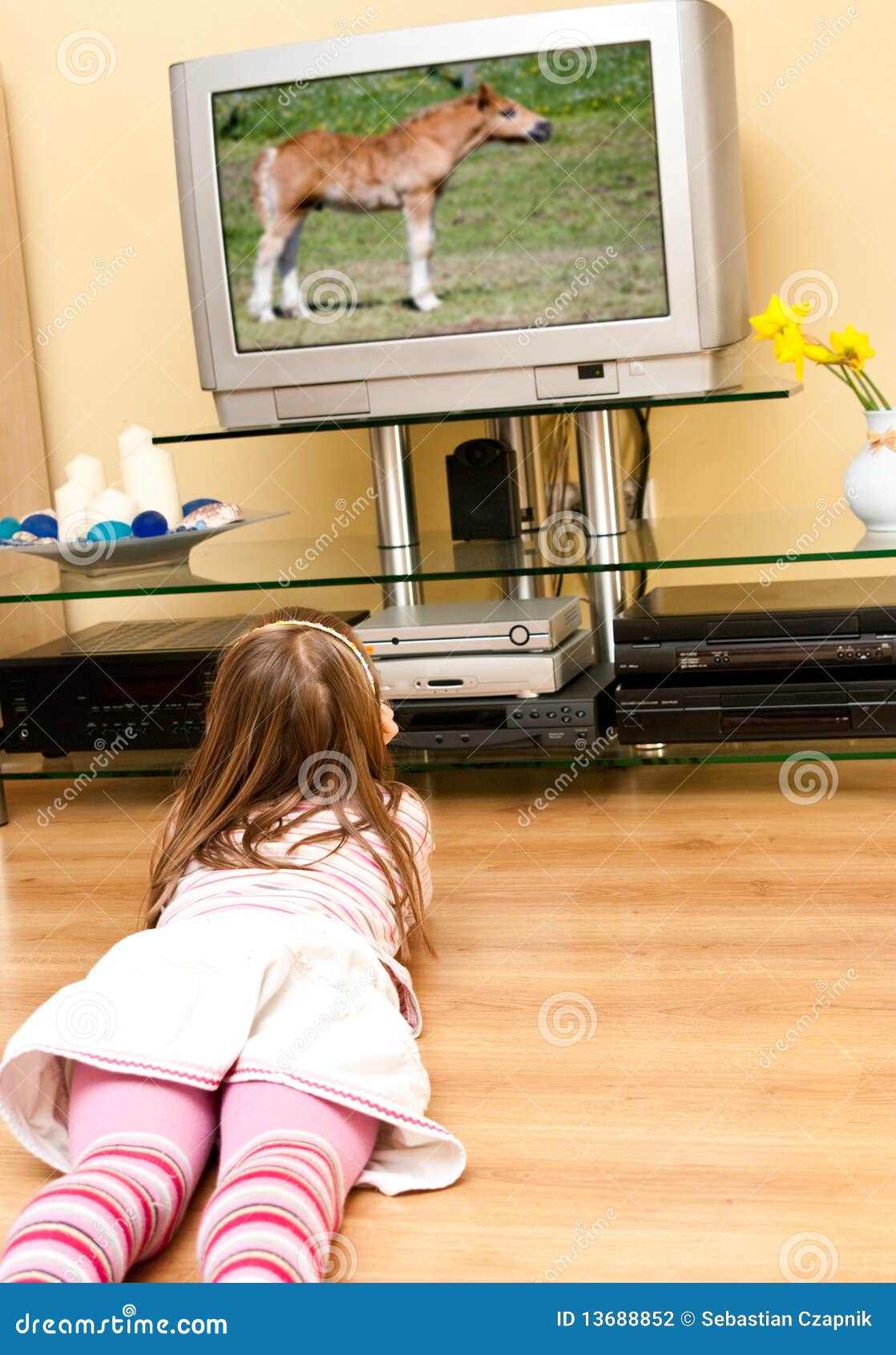 La ragazza guarda la TV fotografia stock. Immagine di guardare - 13688852