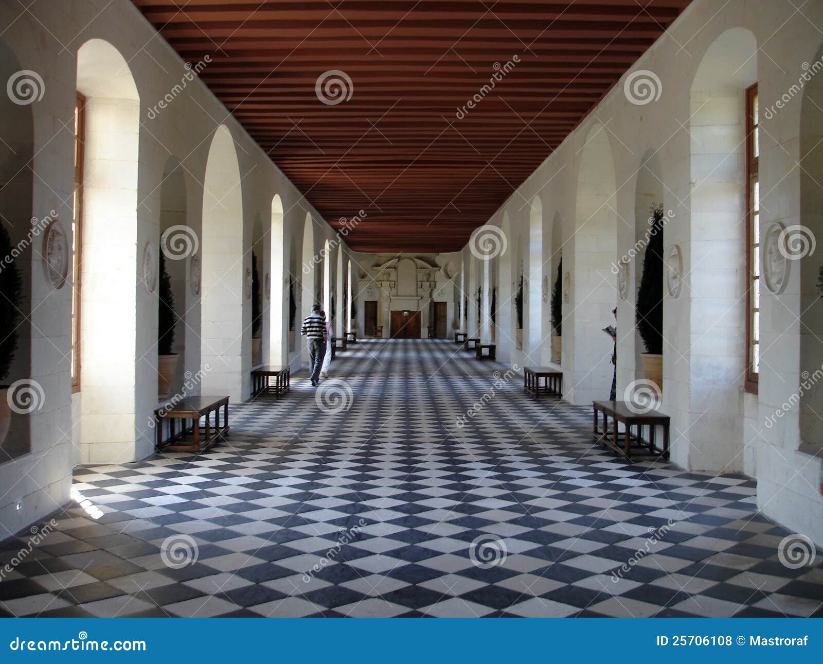 La rampe de Chenonceau photo stock éditorial. Image du ballroom - 25706108