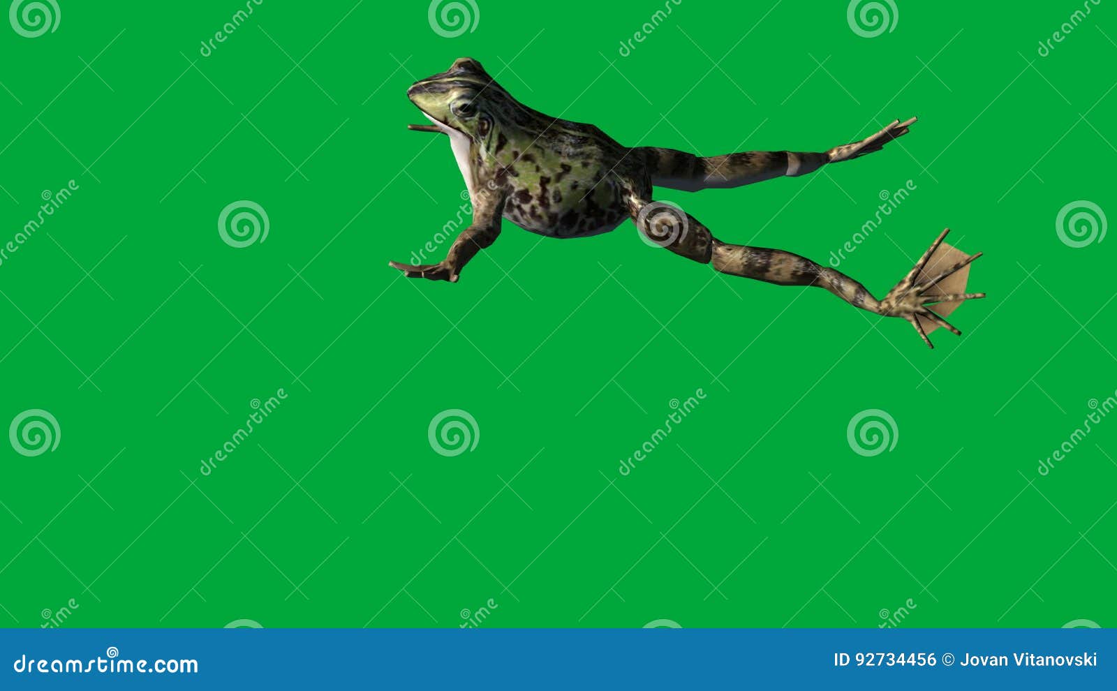 La Rana Che Salta - Schermo Verde Stock Footage - Video di naughty ...
