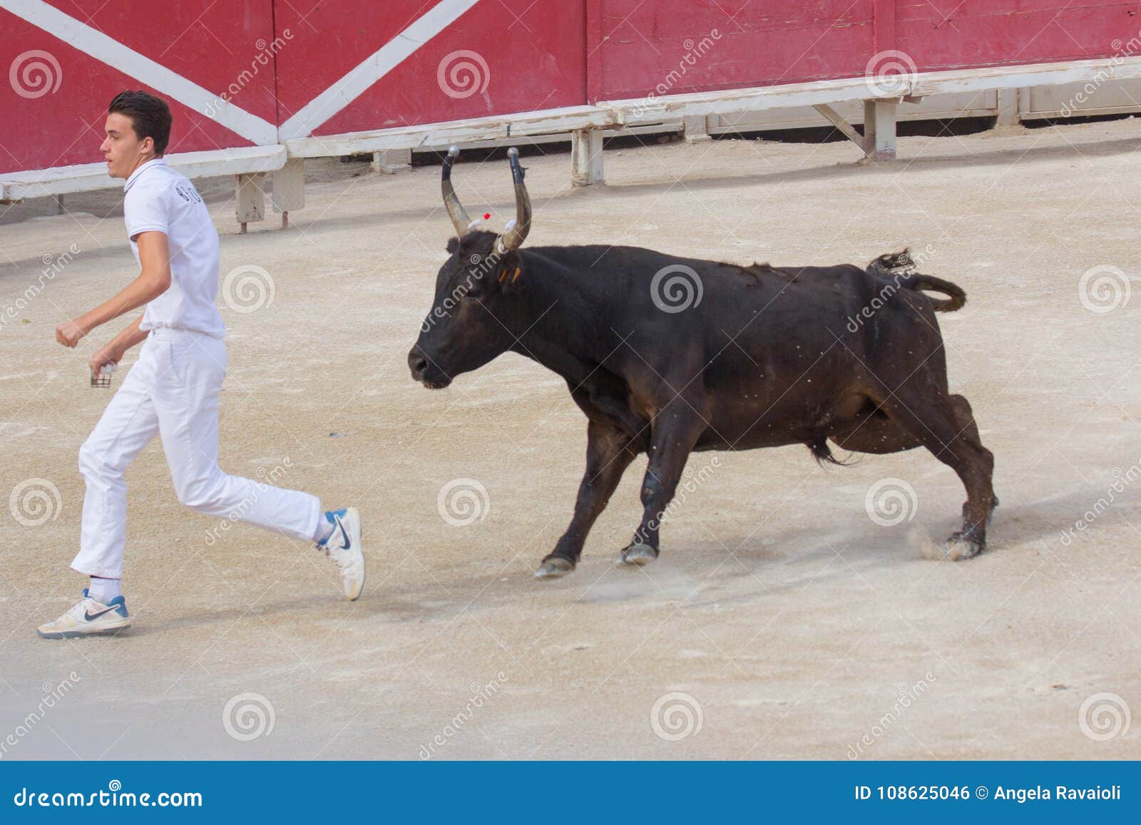 La raza de los toros foto editorial. Imagen de rodeo - 108625046