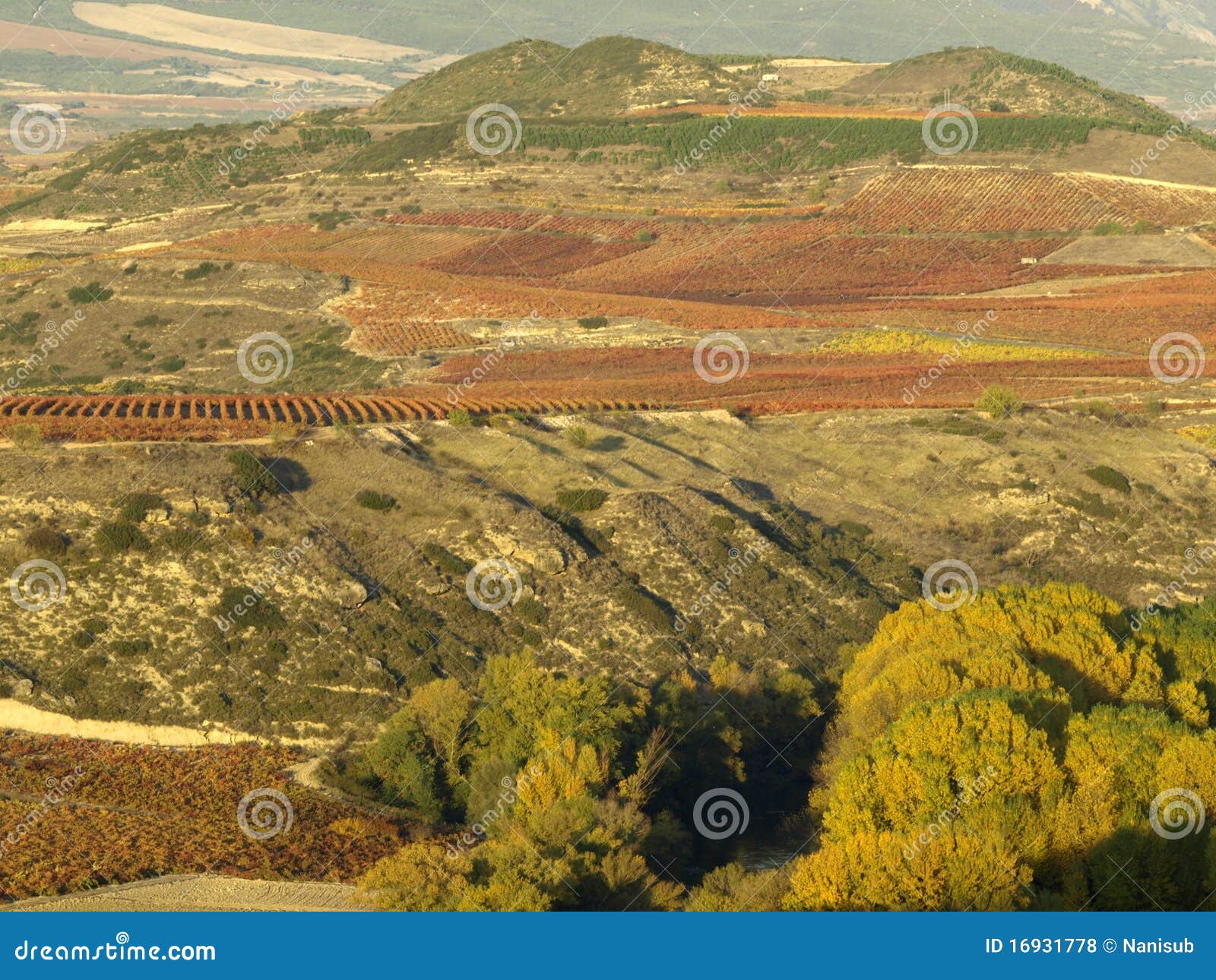 La rioja in autumn stock photo. Image of sonsierra, ebro - 16931778