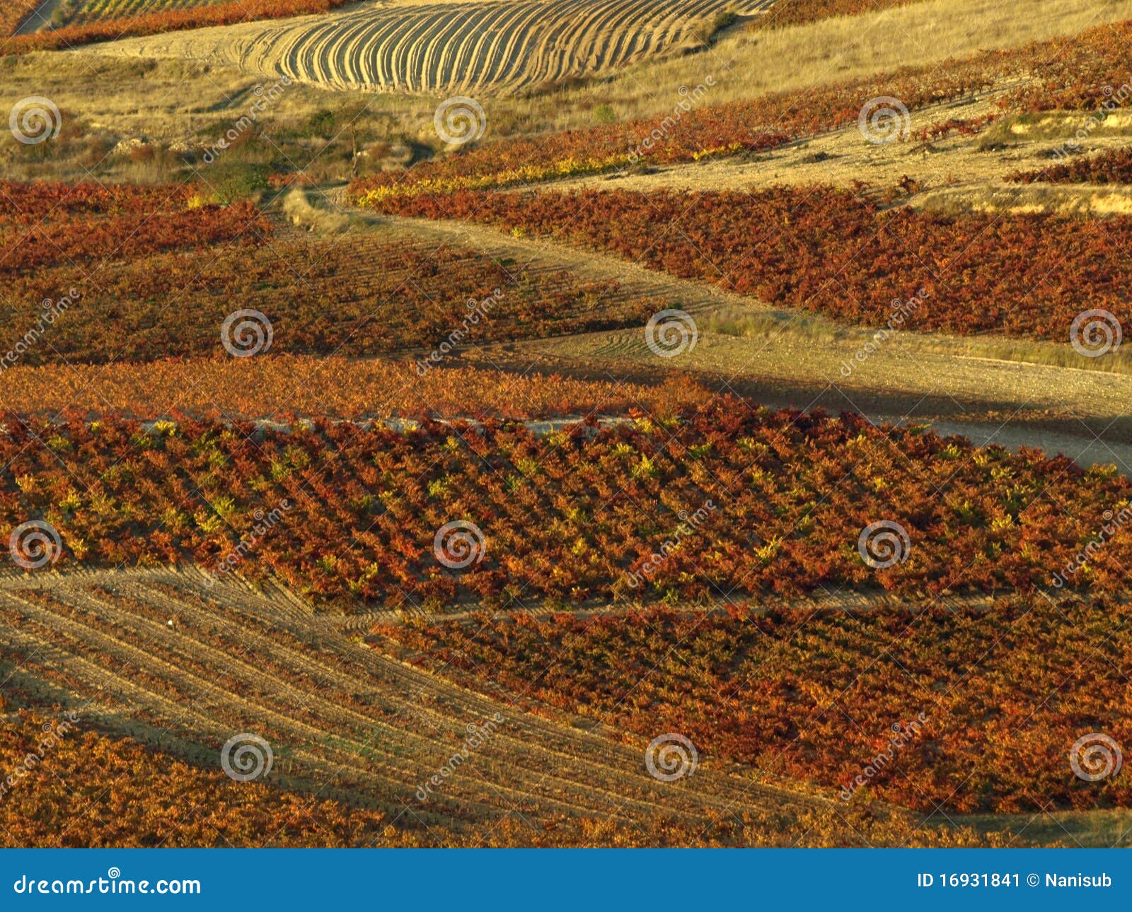 La rioja in autumn stock image. Image of ebro, sonsierra - 16931841