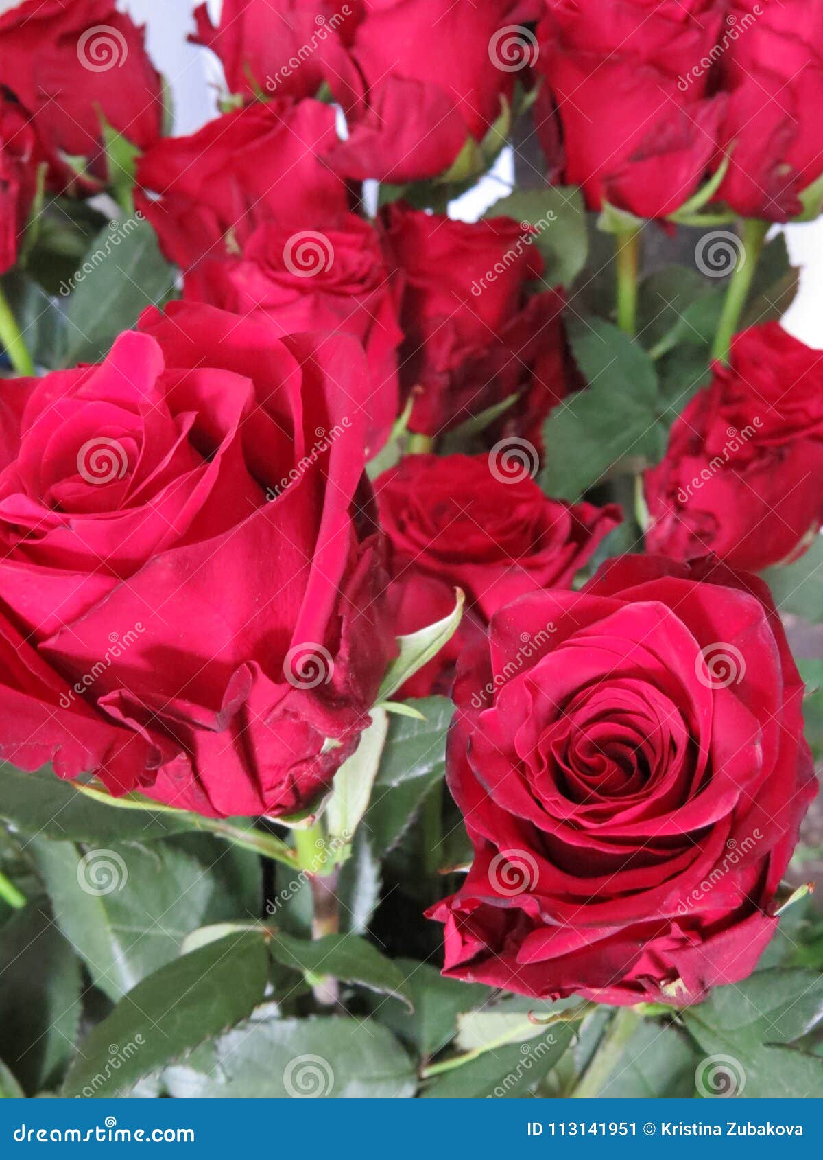 La Rose De Rouge Est Un Symbole De Passion Image stock - Image du ...