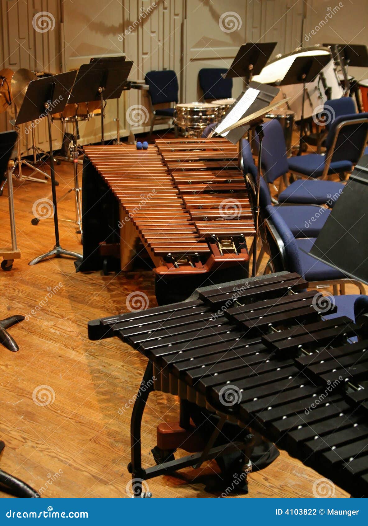 La sección de la percusión foto de archivo. Imagen de sonido - 4103822