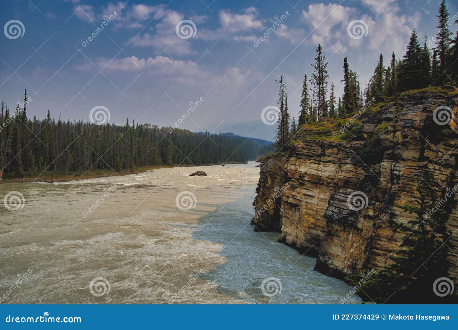 La Section Fluviale Des Chutes Athabasca. Jasper Ab Canada Image stock ...