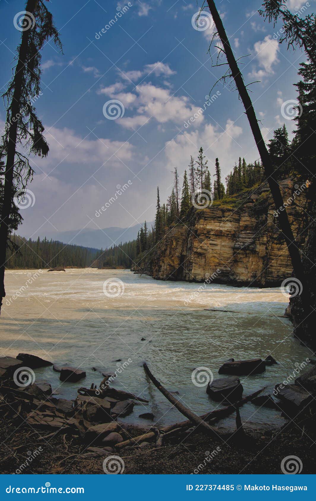 La Section Fluviale Des Chutes Athabasca. Jasper Ab Canada Image stock ...