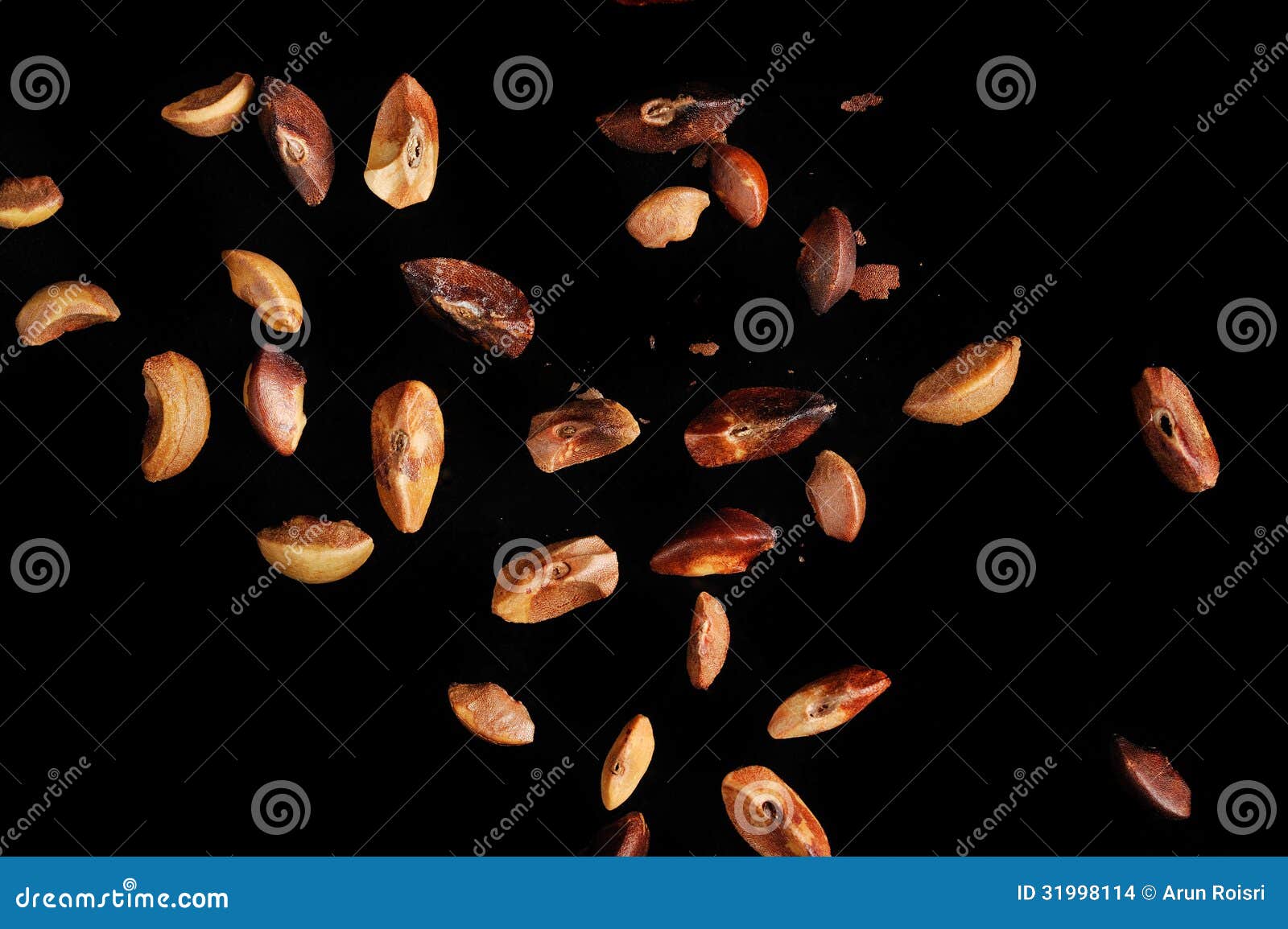 La semilla coa alas foto de archivo. Imagen de travieso - 31998114