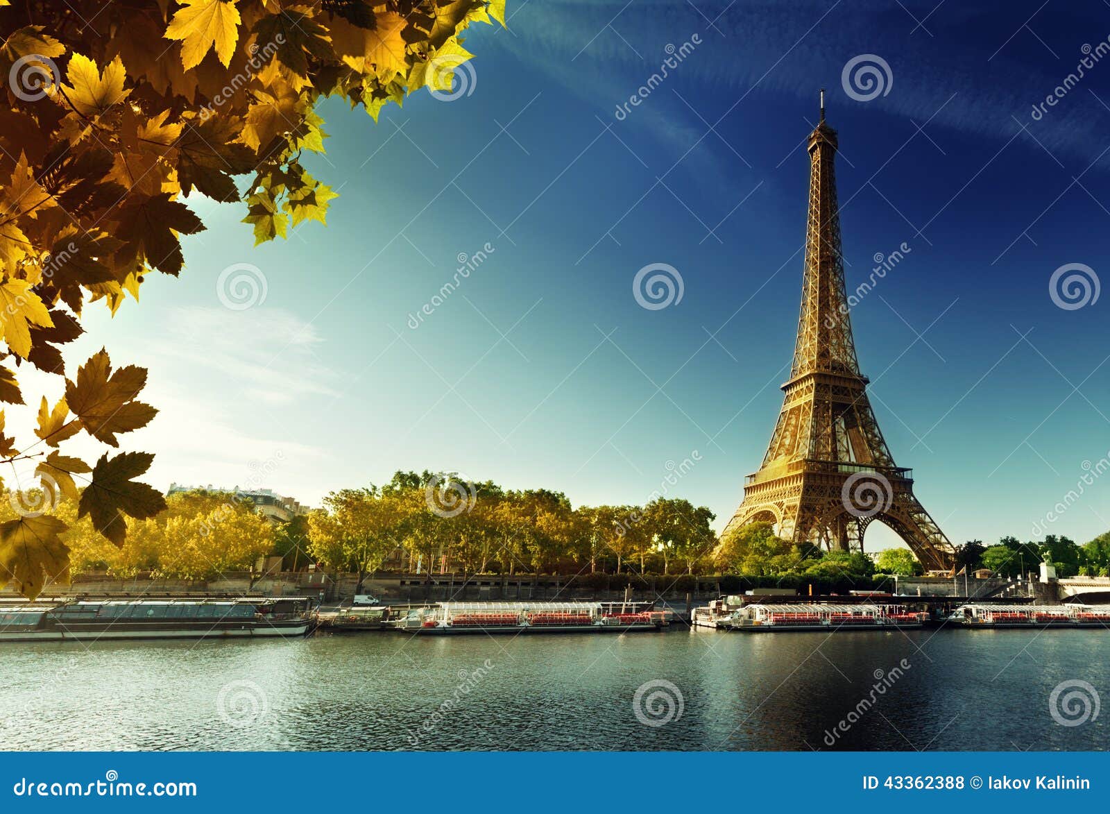 La Senna a Parigi Con La Torre Eiffel Fotografia Stock - Immagine di ...