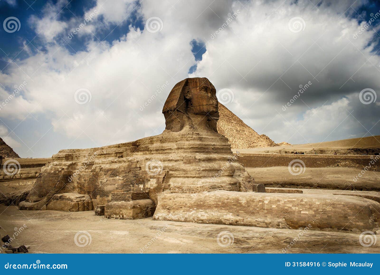 La Sfinge nell'Egitto fotografia stock. Immagine di testa - 31584916
