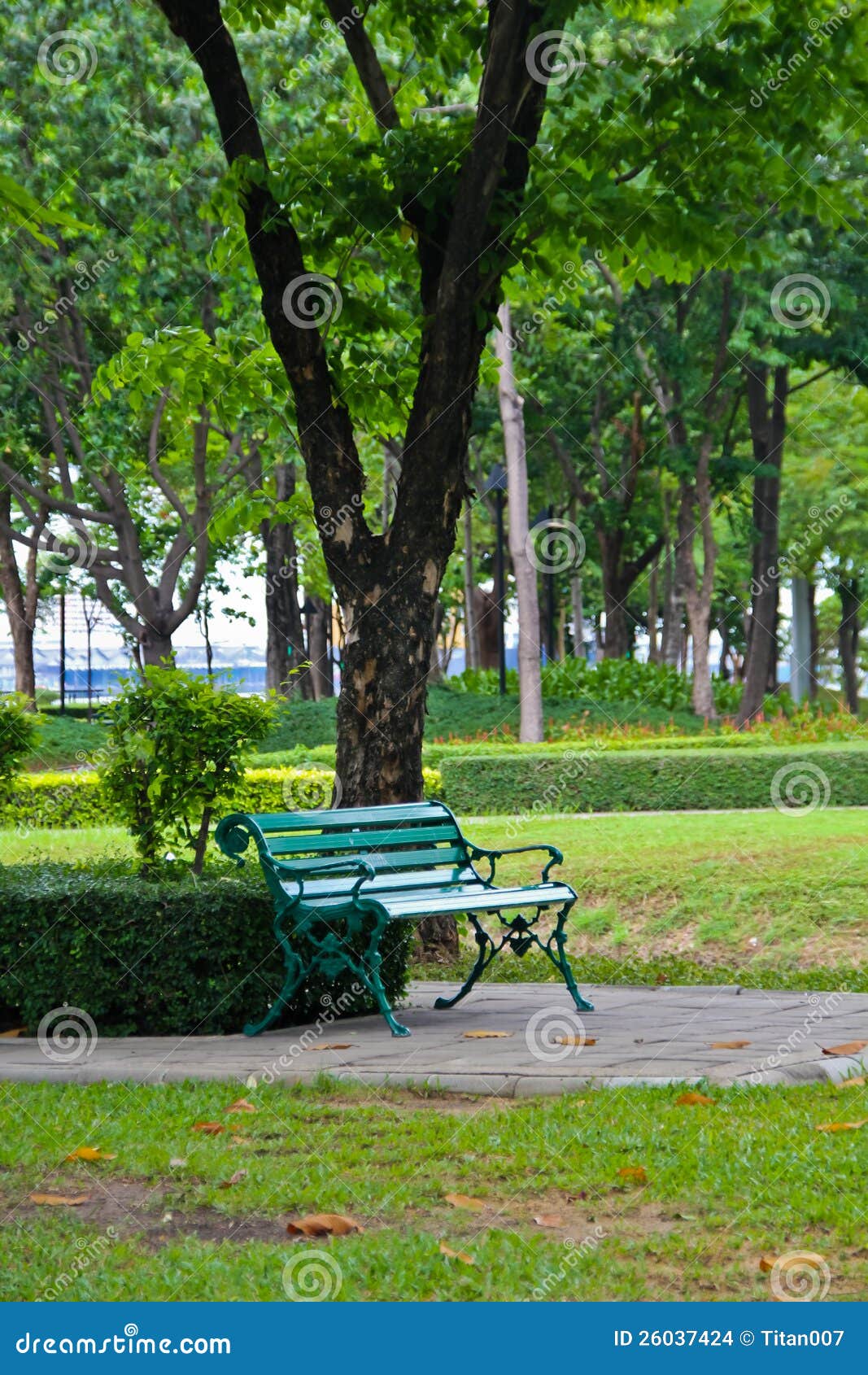 La Silla Verde En El Parque. Foto de archivo - Imagen de cubo, verde ...