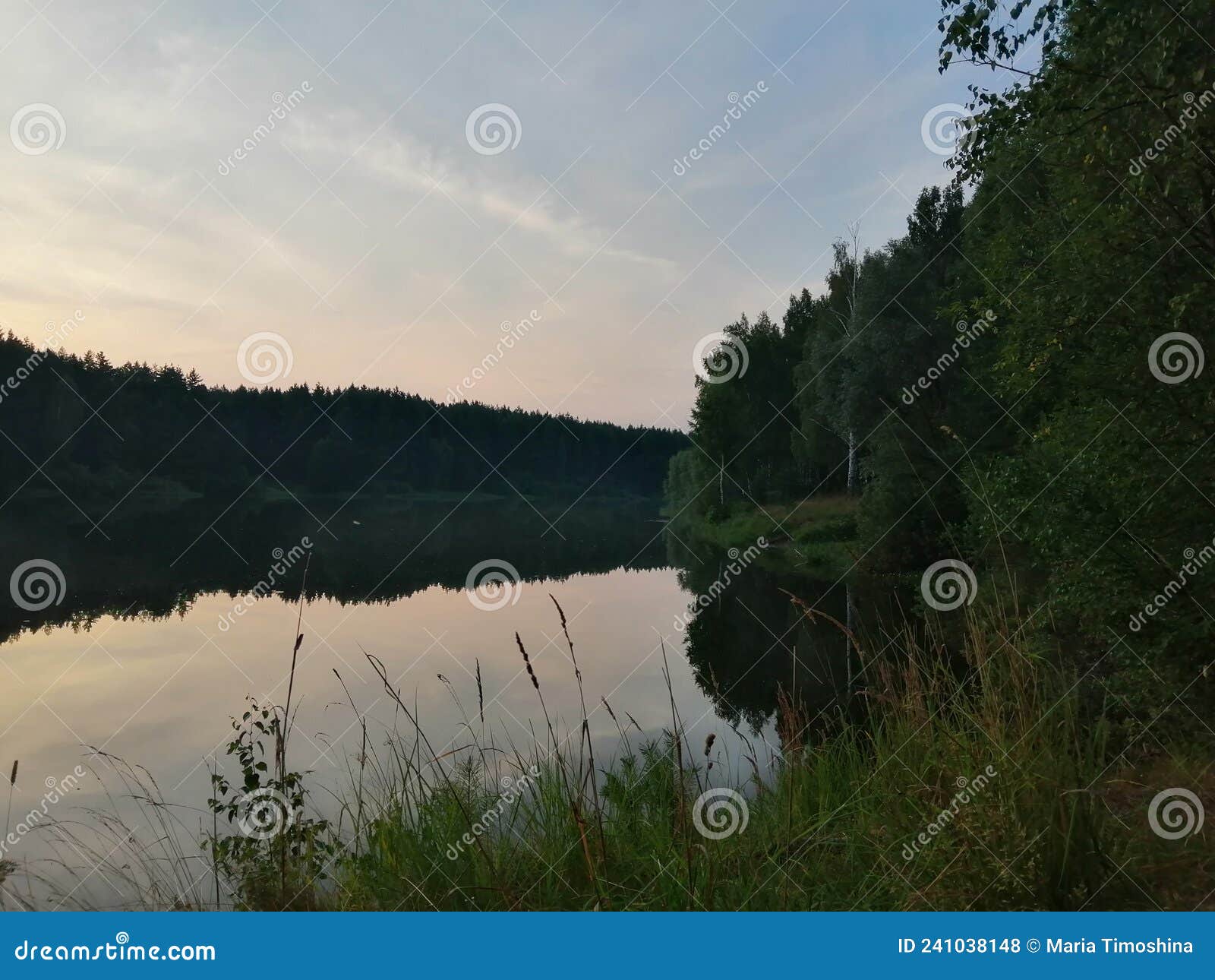 La Silueta De Un Bosque Oscuro Se Refleja En El Agua De Un Lago ... La Silueta De Un Bosque Oscuro Se Refleja En El Agua De Un Lago ...