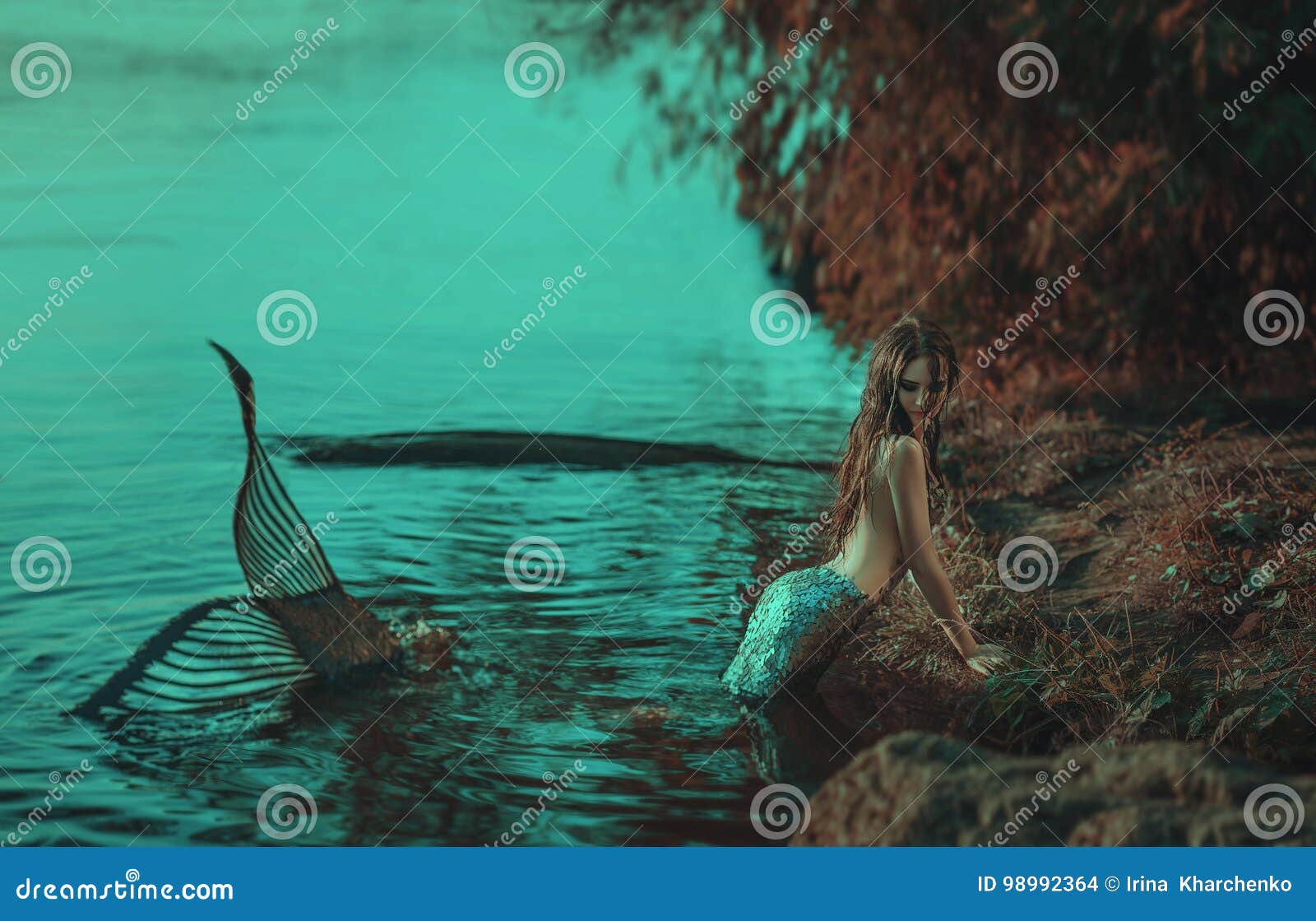 La sirena real foto de archivo. Imagen de resto, ondas - 98992364