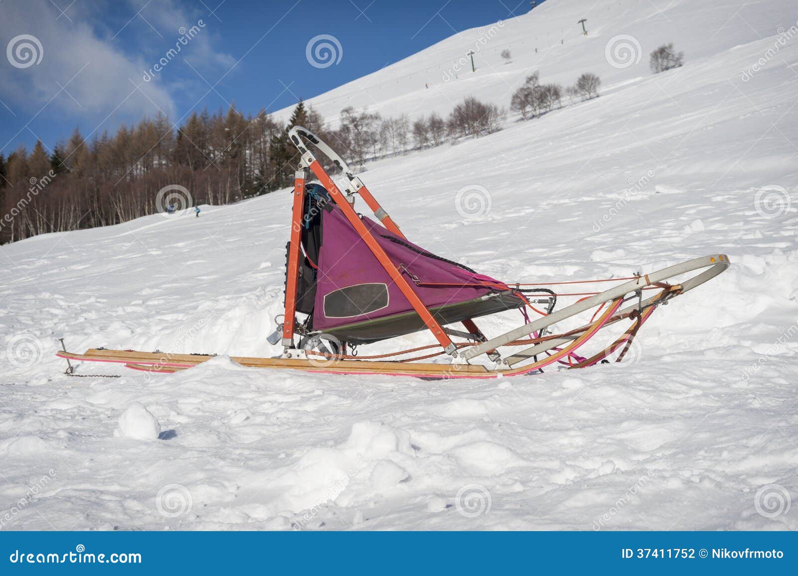 La slitta di Sleddog fotografia stock. Immagine di sport - 37411752