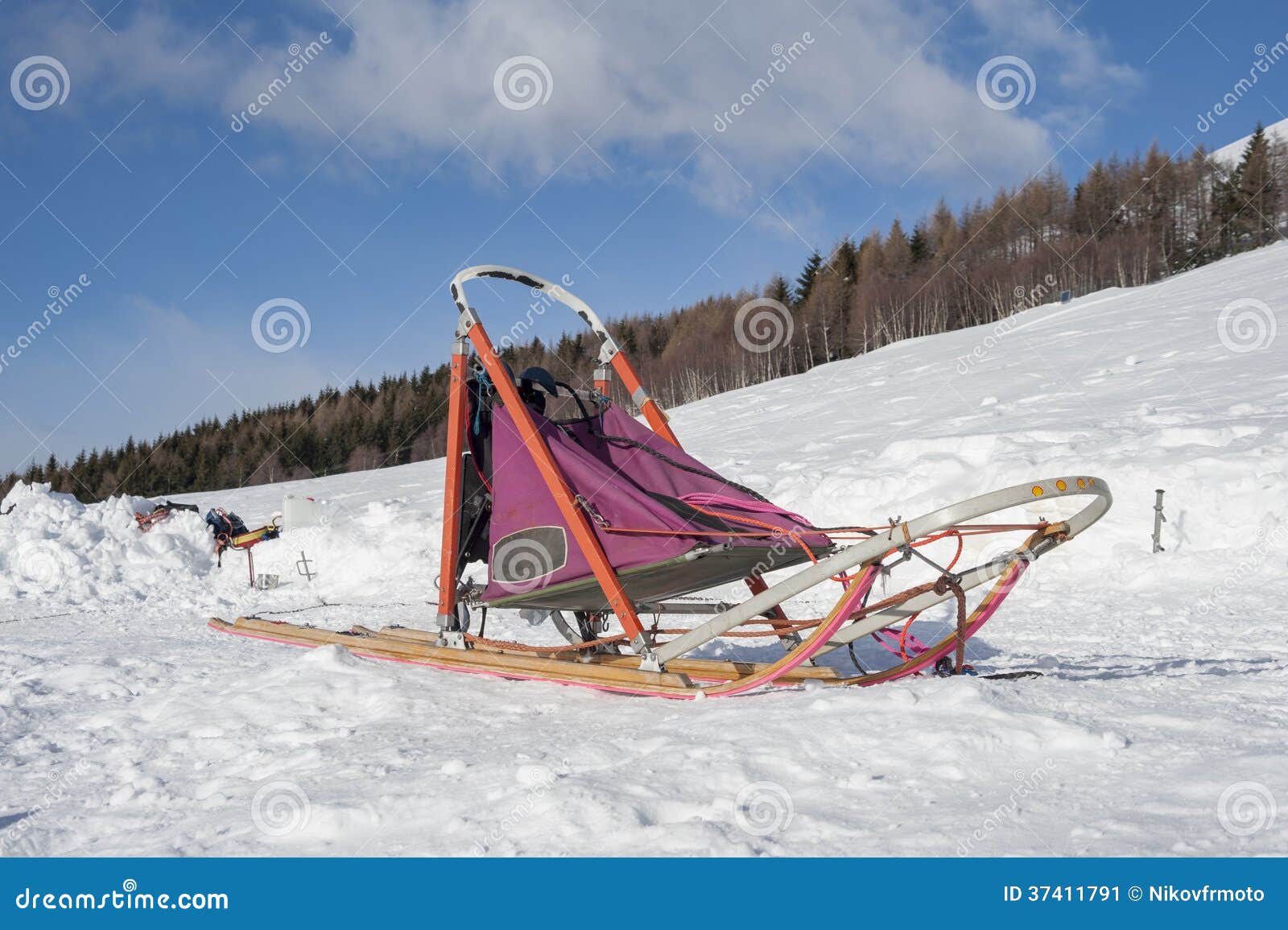 La slitta di Sleddog immagine stock. Immagine di alpi - 37411791